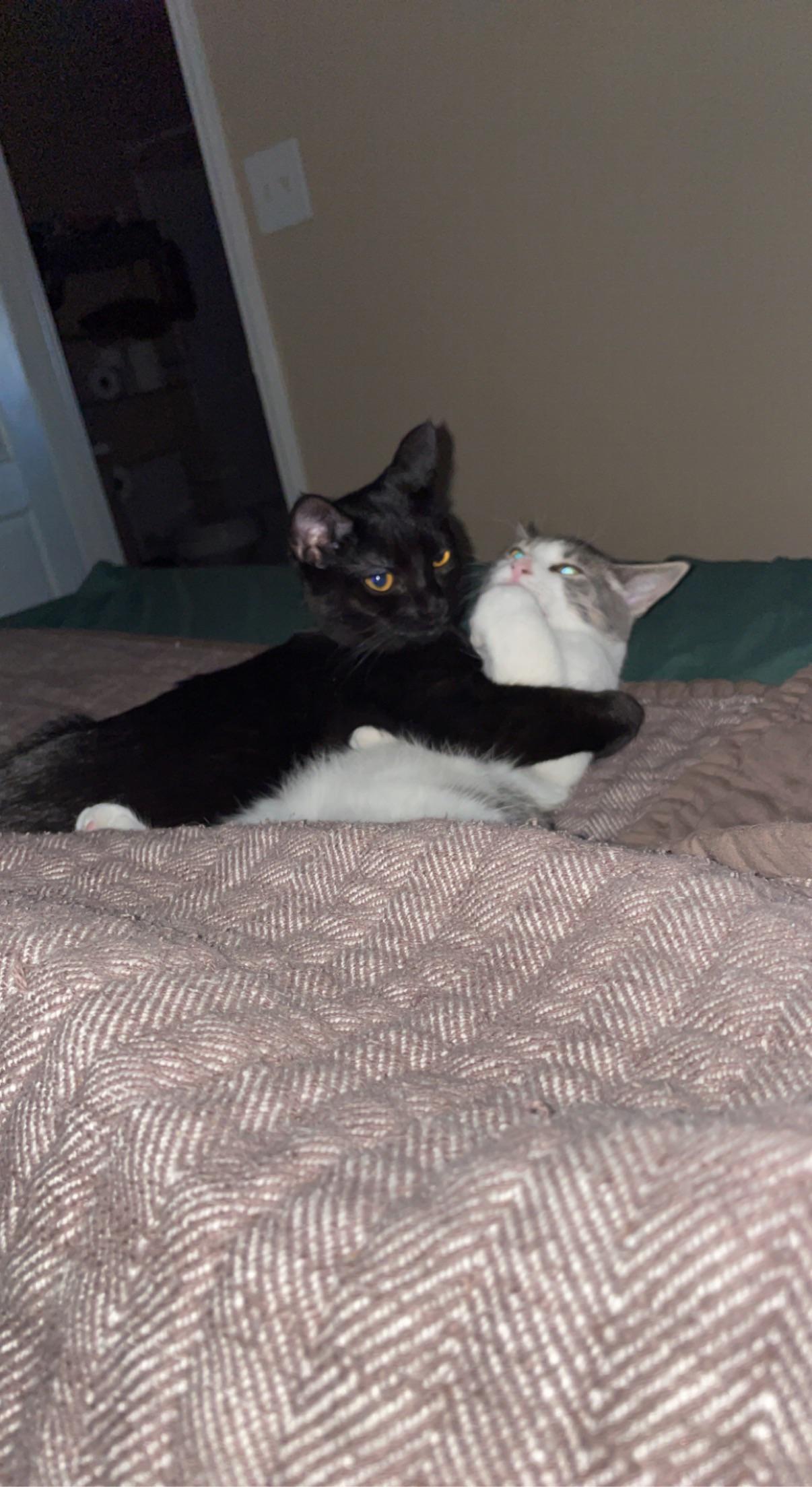 Sophie and Zeus love each | Scrolller