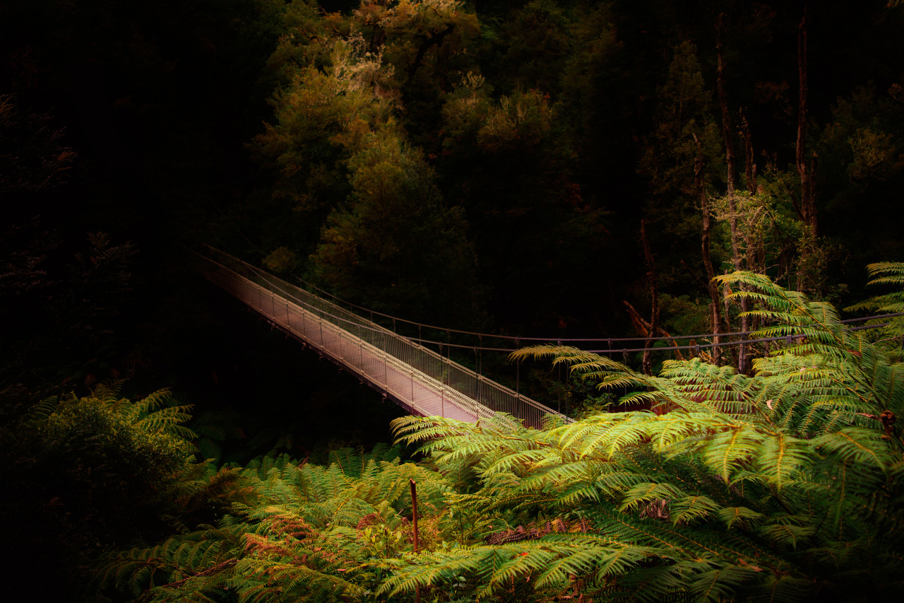 Suspended Bridge Into An Abyss | Scrolller
