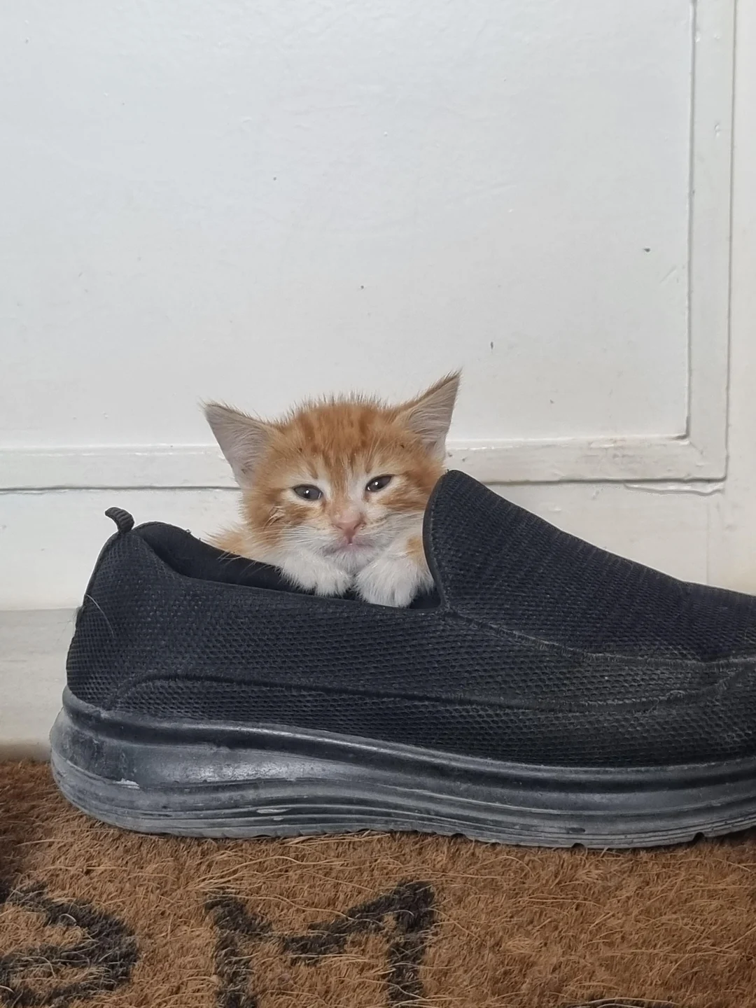 she tiny | Scrolller