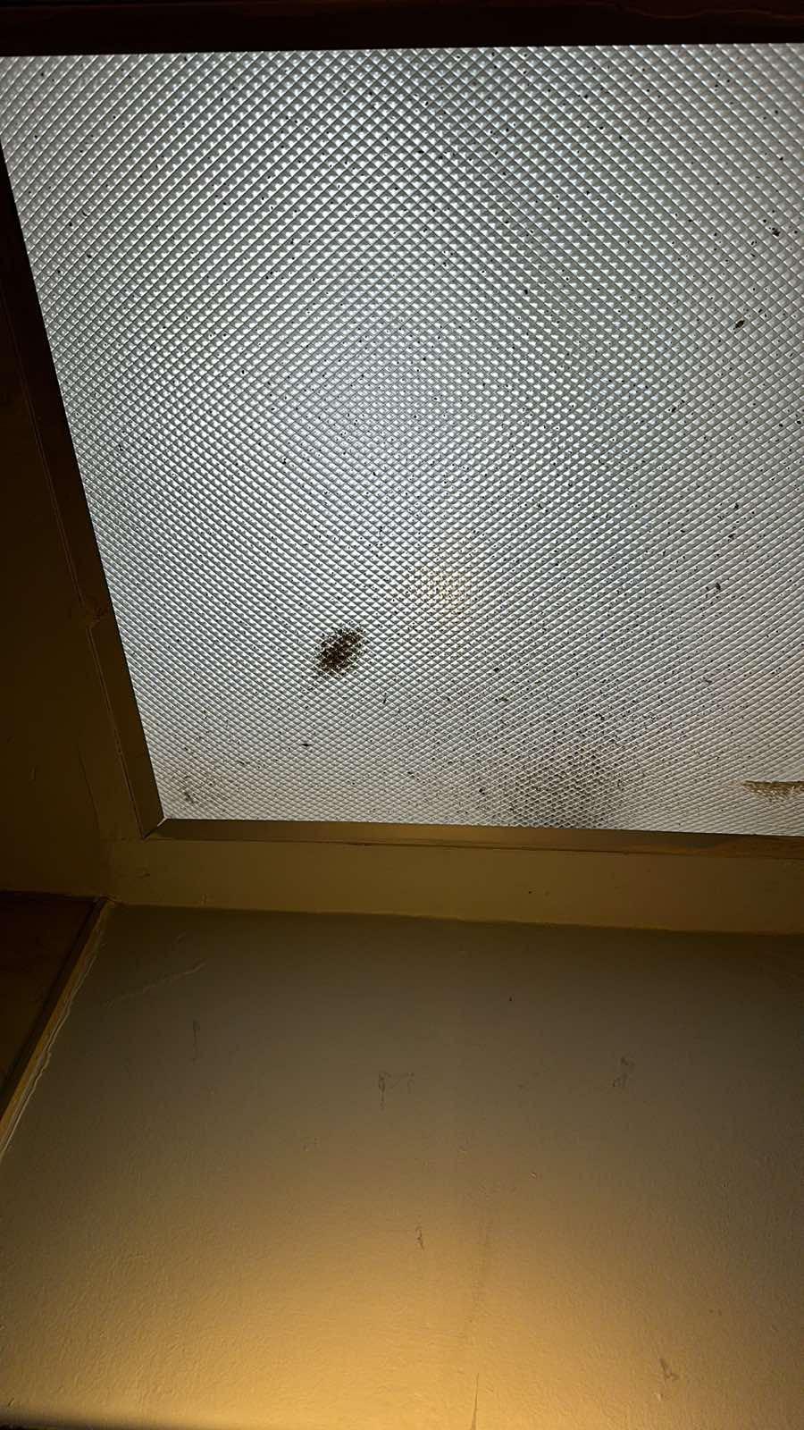 Is this termite poop? | Scrolller