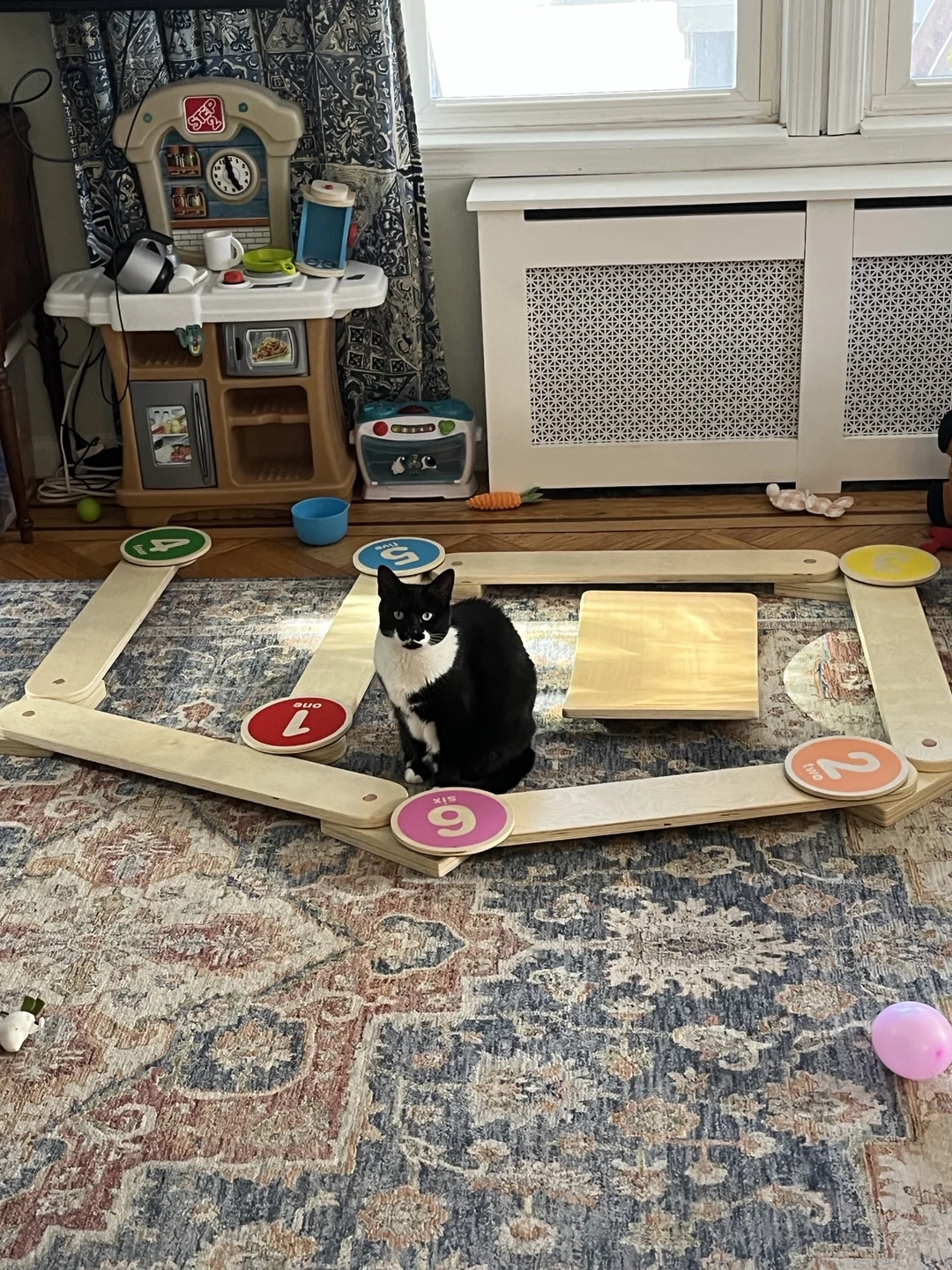 Penny has claimed the balance beam | Scrolller