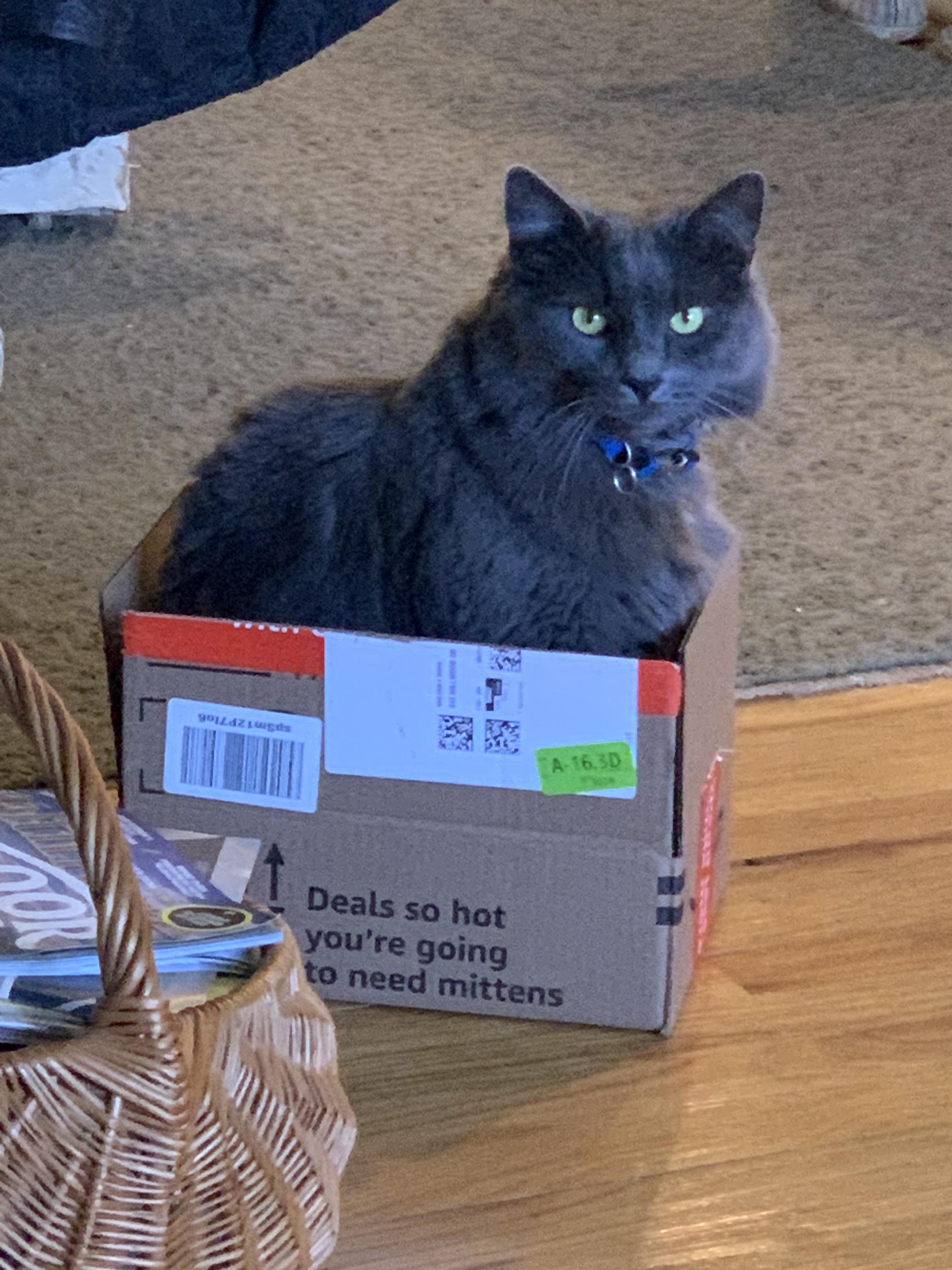 If it’s hot I squat! | Scrolller