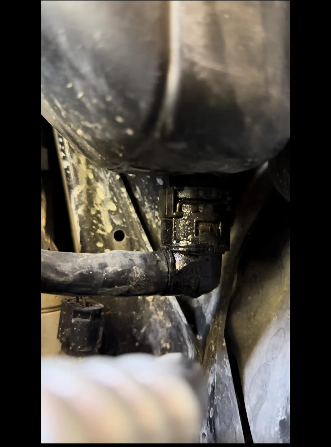 Coolant leak | Scrolller