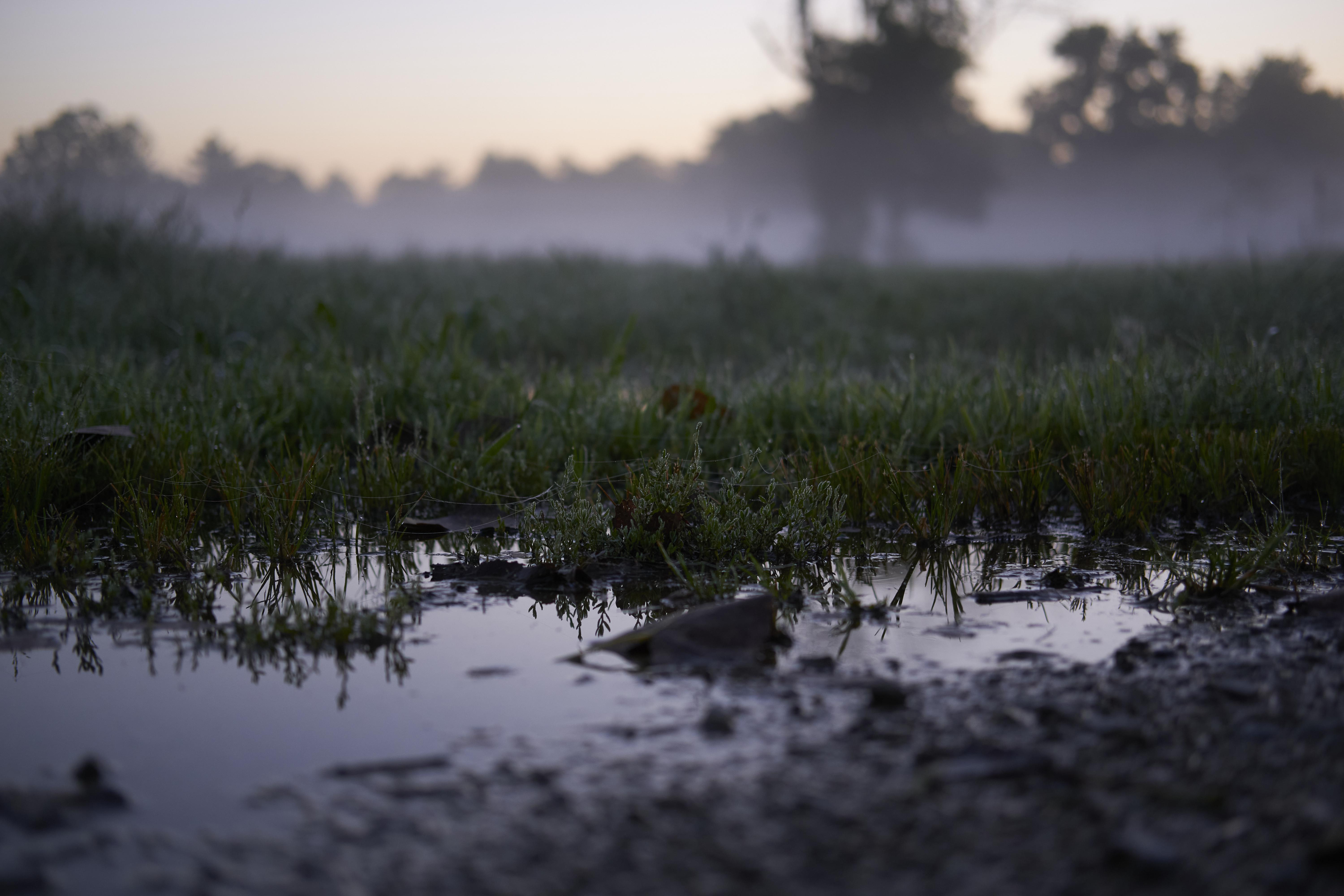 [OC] A puddle on a foggy morning | Scrolller