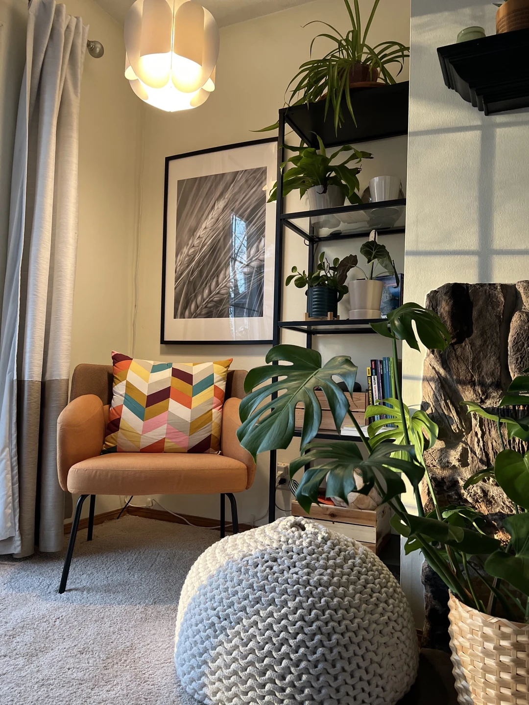 Golden hour in my reading corner! | Scrolller