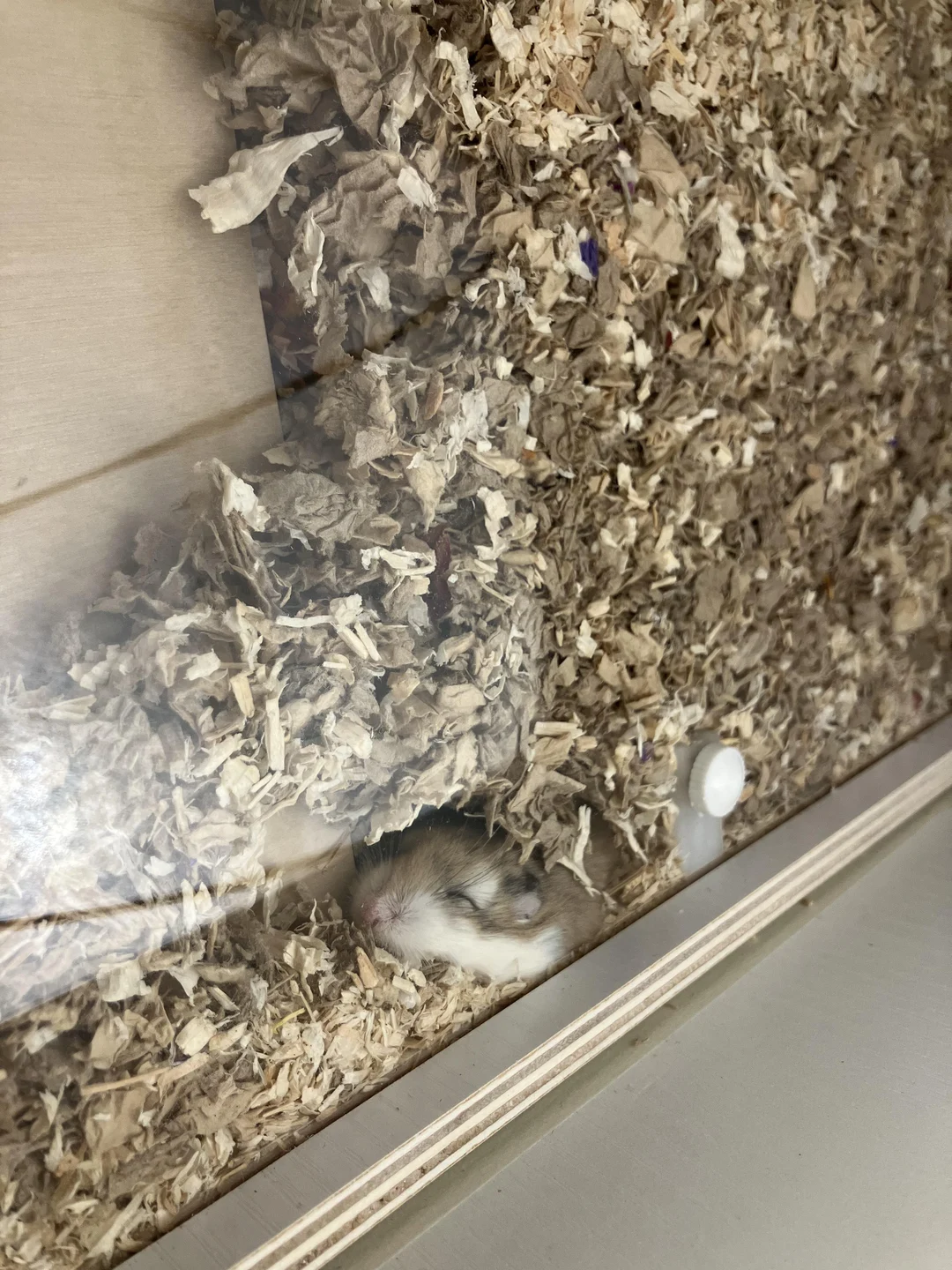 My little bean 🥹 | Scrolller