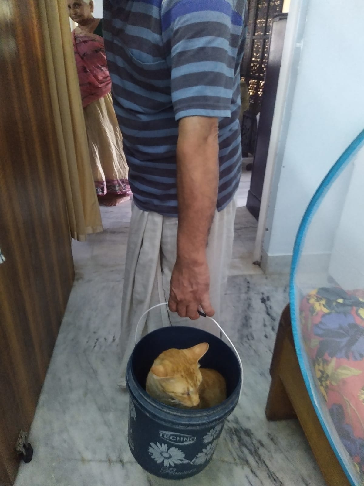 cat in the bucket 🤣 | Scrolller