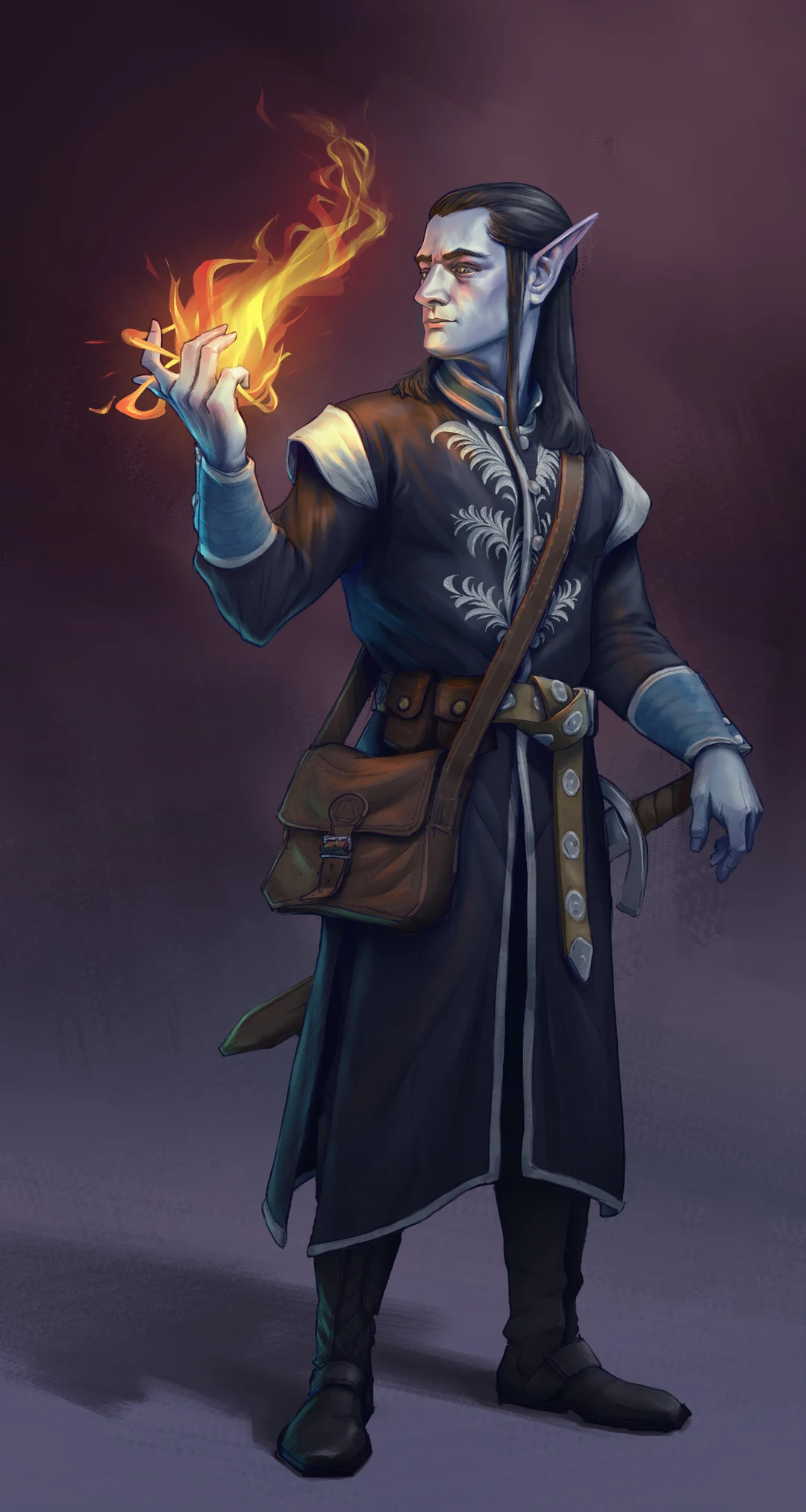 Moon Elf Sorcerer by Wayne Chang | Scrolller