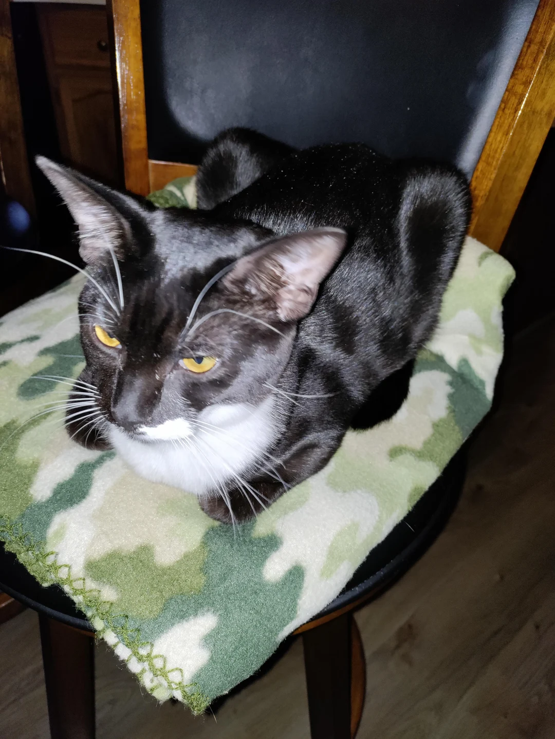 Remi's first loaf. | Scrolller