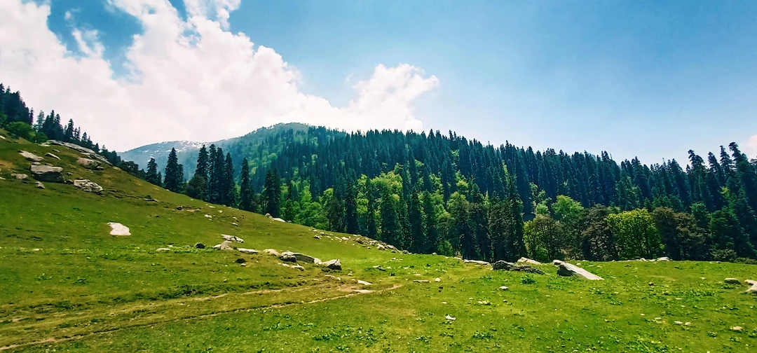 A grass field in mountains of Himalaya (3260 x 1520) (OC) | Scrolller