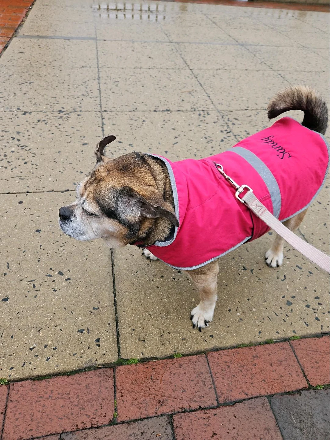 Ready for takeoff | Scrolller