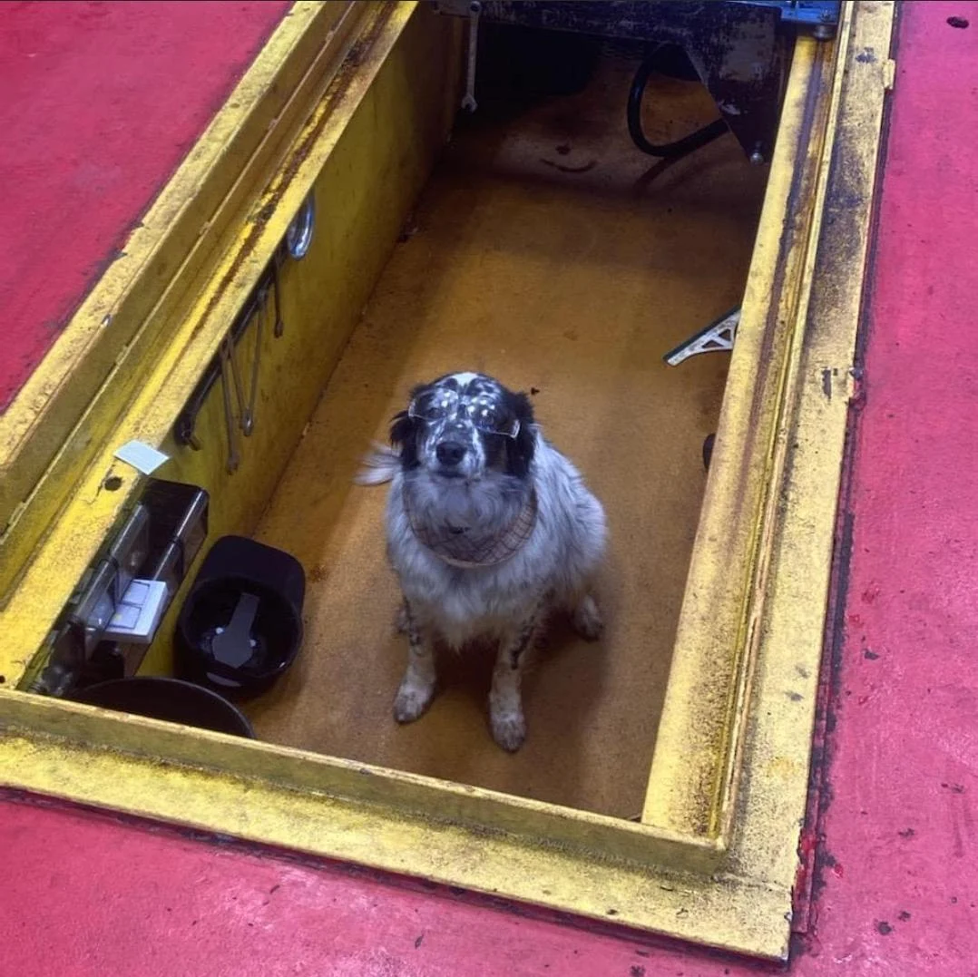 New mechanic | Scrolller