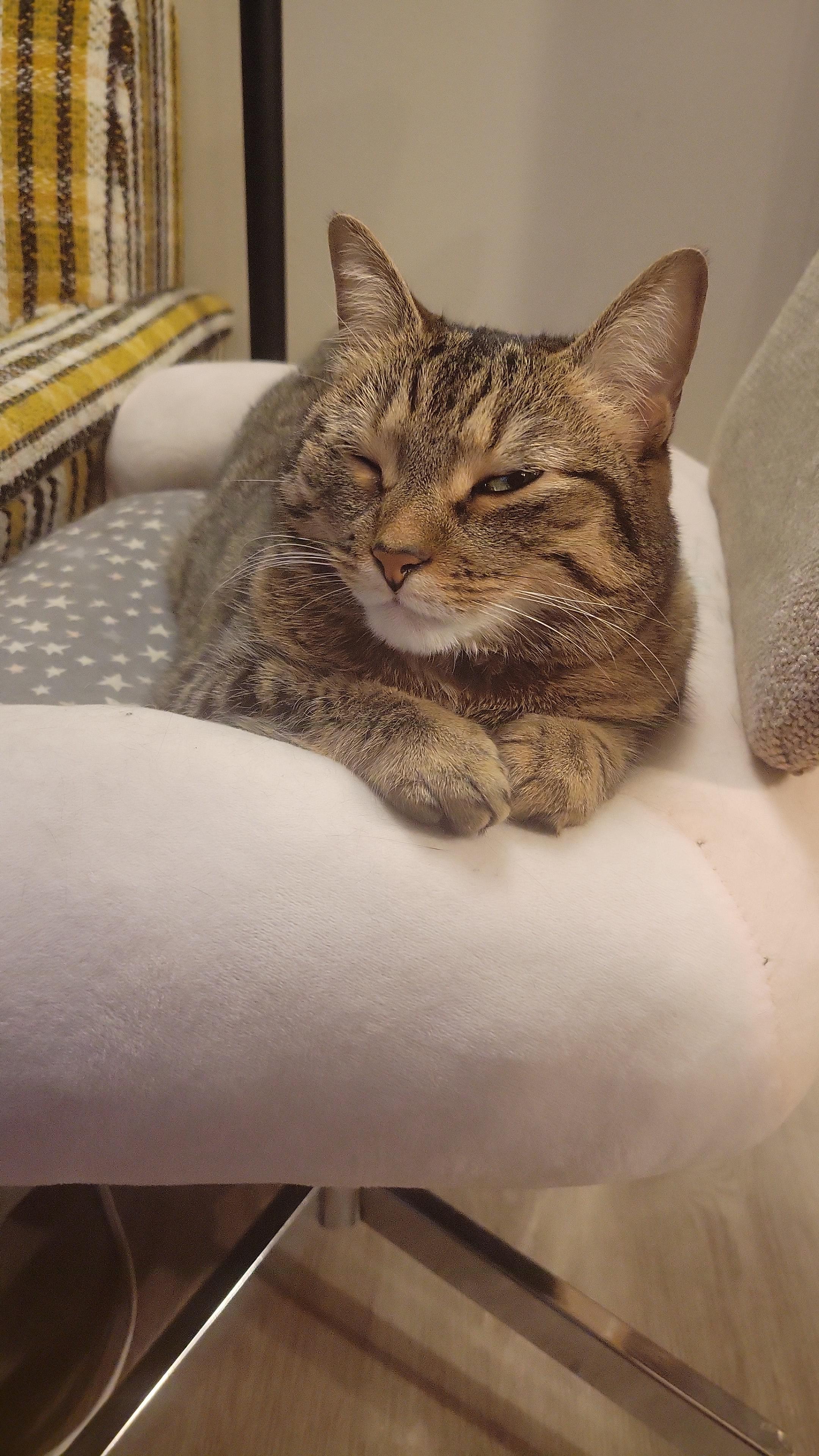 Judging you since 2019 | Scrolller