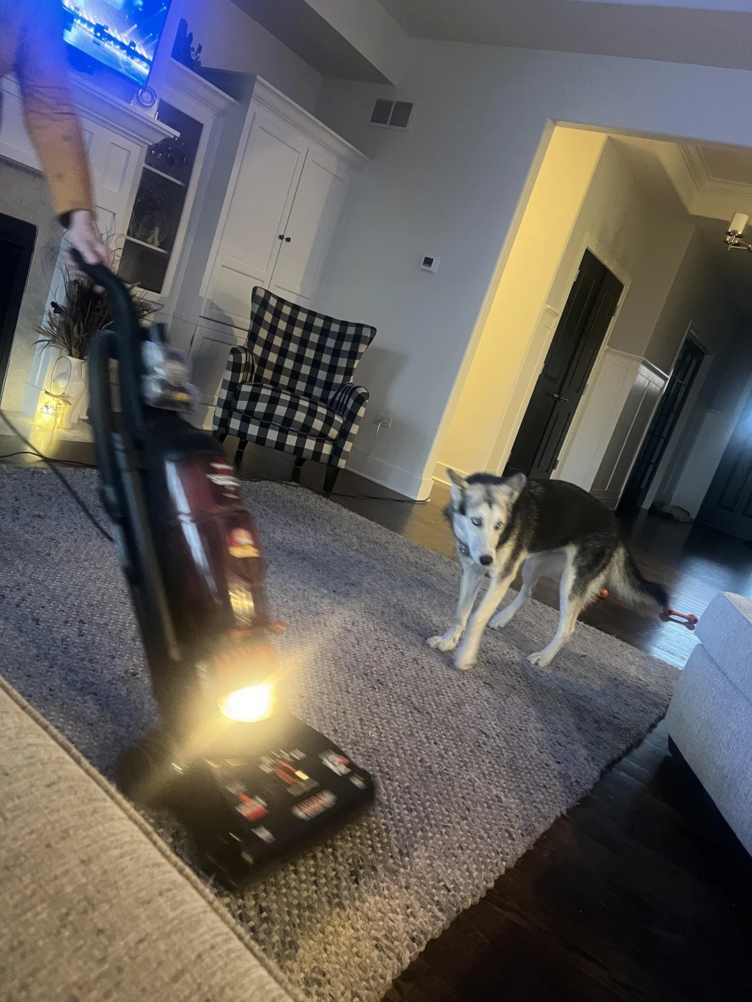 First vacuum experience hehe | Scrolller