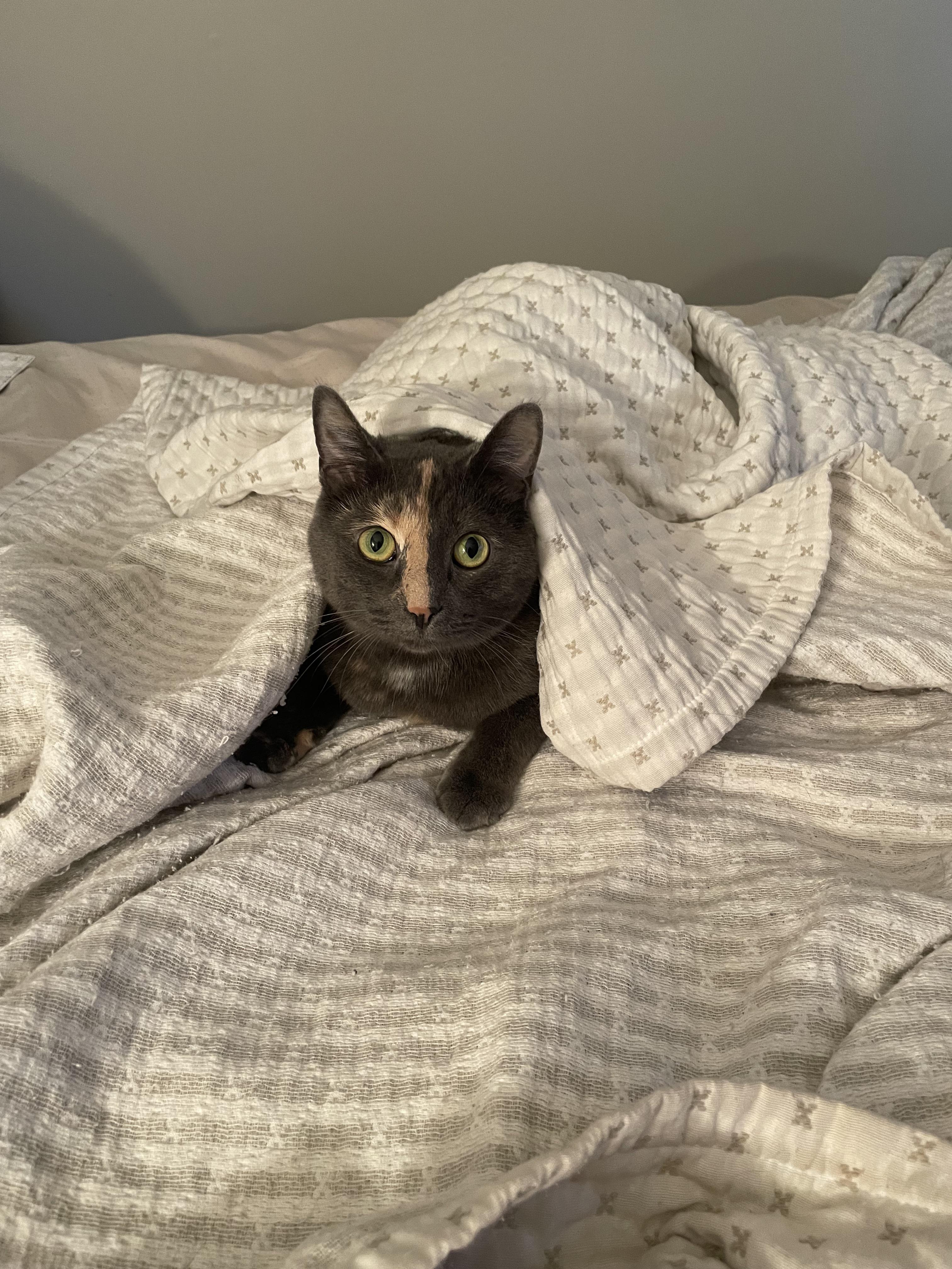 Sweet Winnie | Scrolller