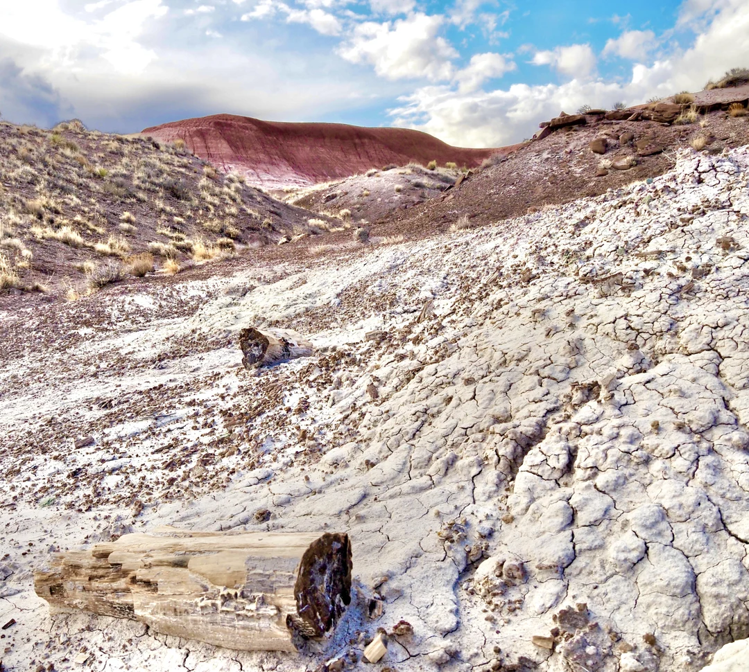 Painted Desert, Petrified Forest National Park, AZ,USA[OC][4327x3886] | Scrolller