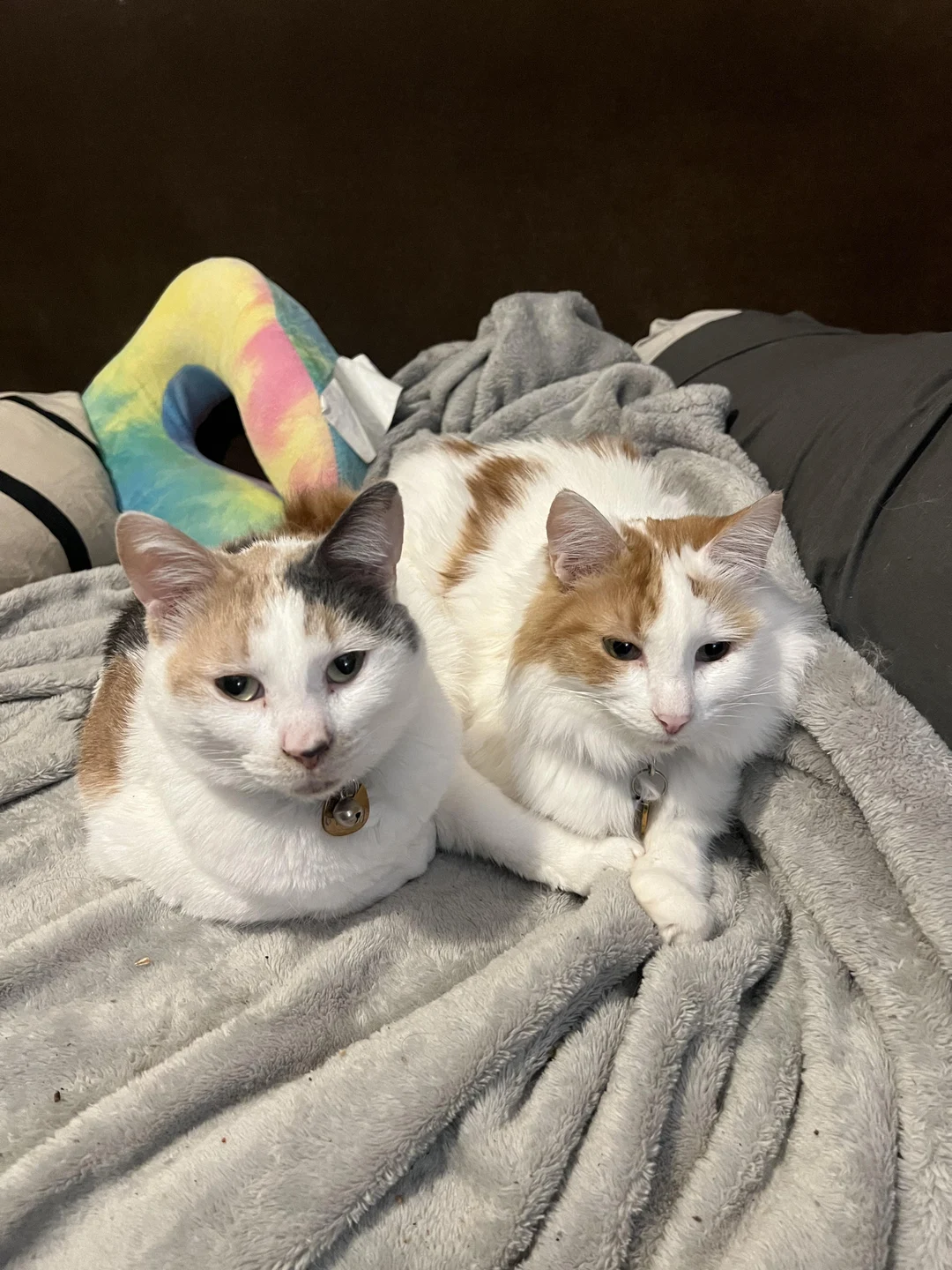Biscuits and Gravy double loaf | Scrolller