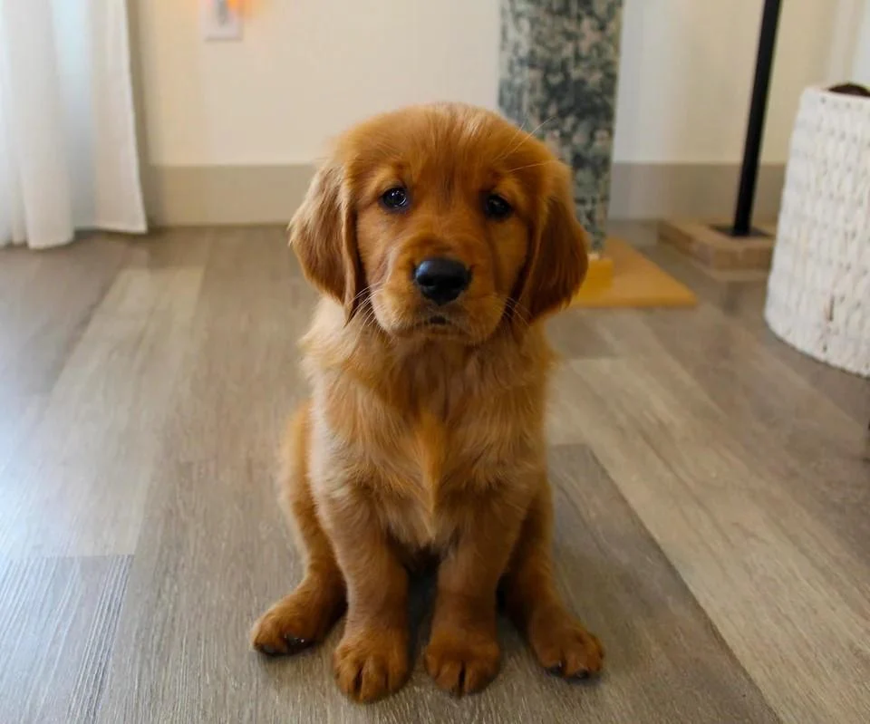 Do you have any suggestion names for her? | Scrolller