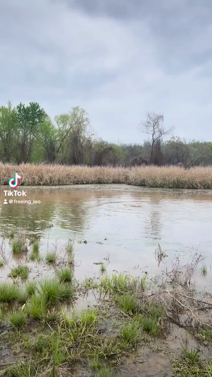 Discover more like Fishing: Spawning and Related Content | Scrolller