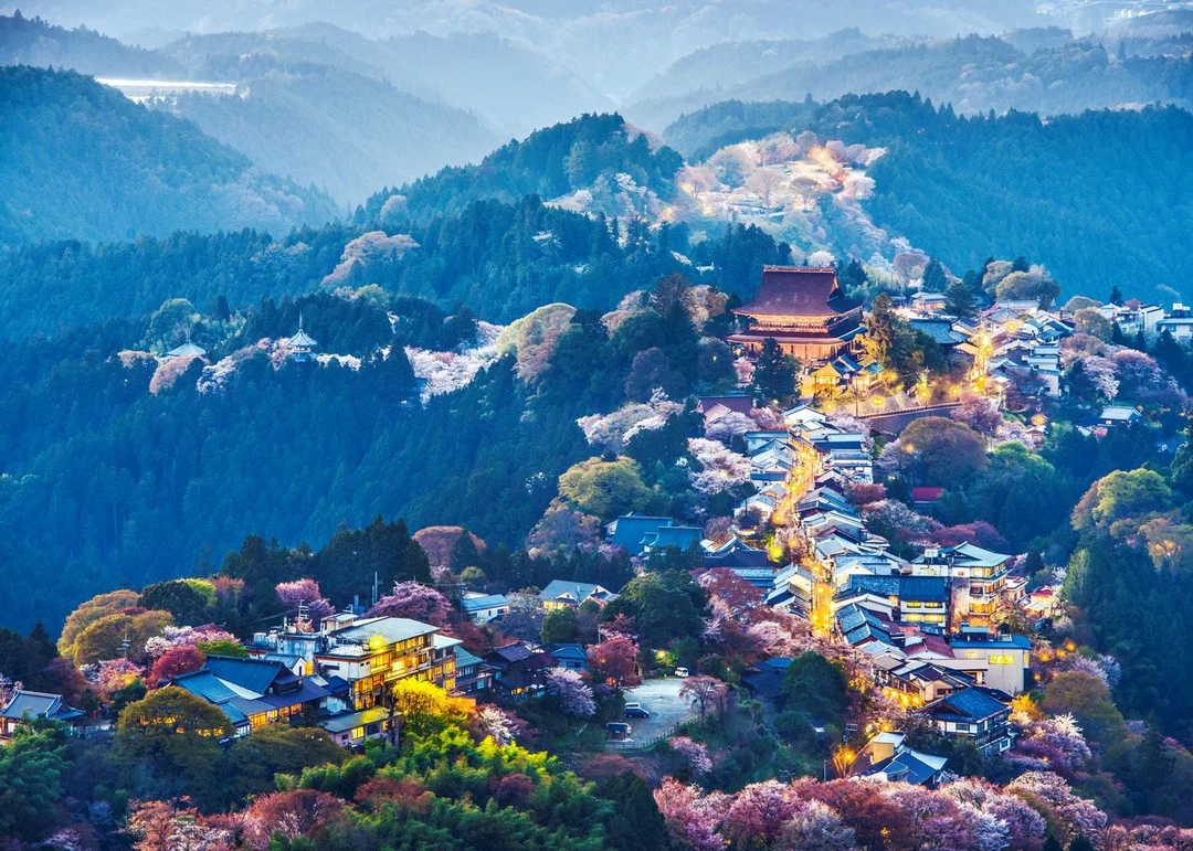 Nara, Japan 🇯🇵 | Scrolller
