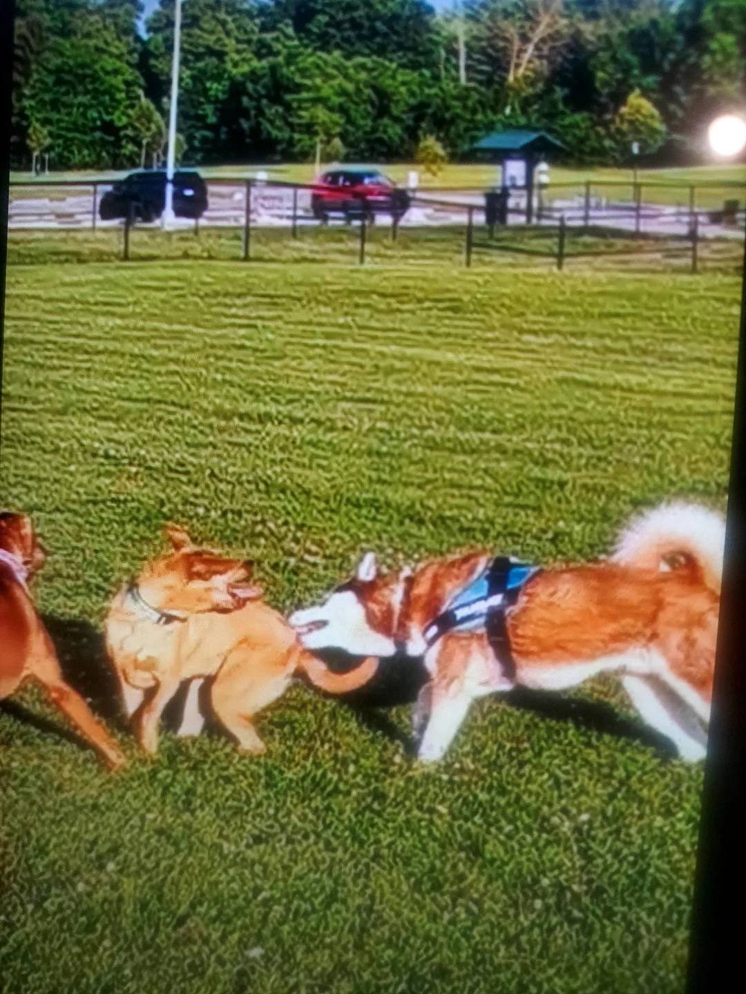 The sneaky butt nip! | Scrolller