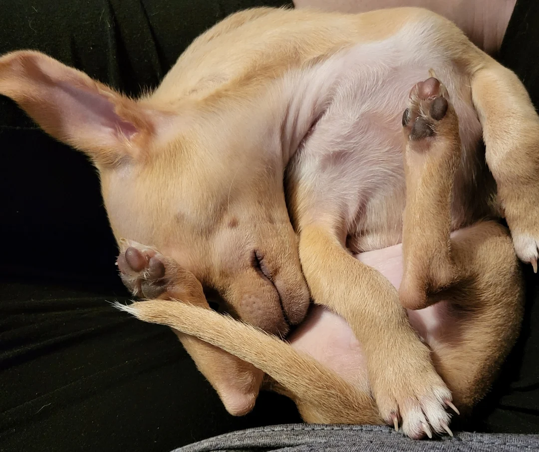 She is broken?!?!? | Scrolller