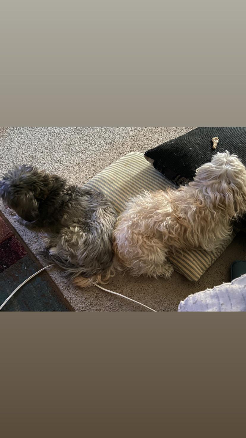 Bosom buddies | Scrolller