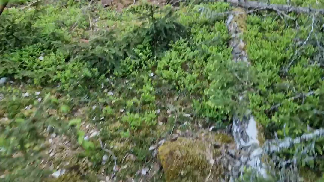 Practice tracking | Scrolller