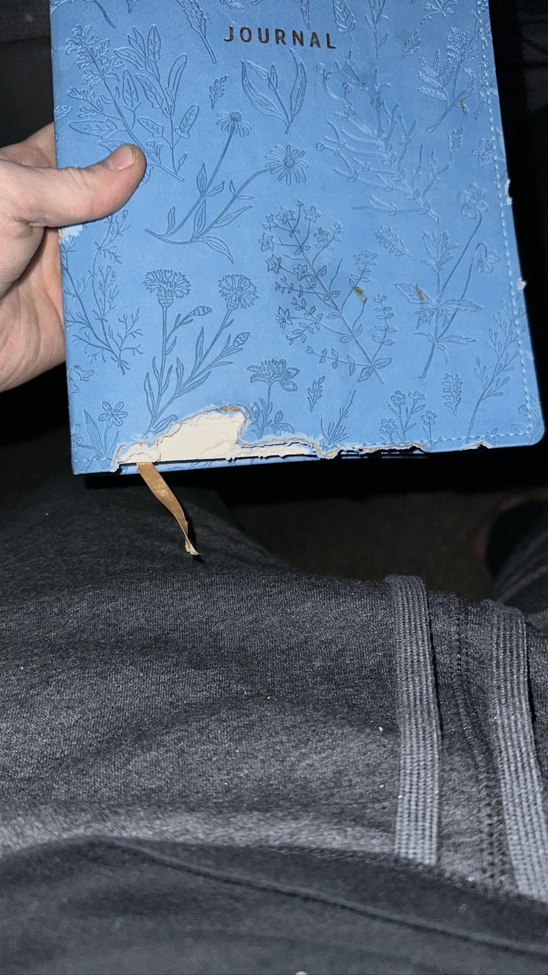 Chinchilla ate my book | Scrolller