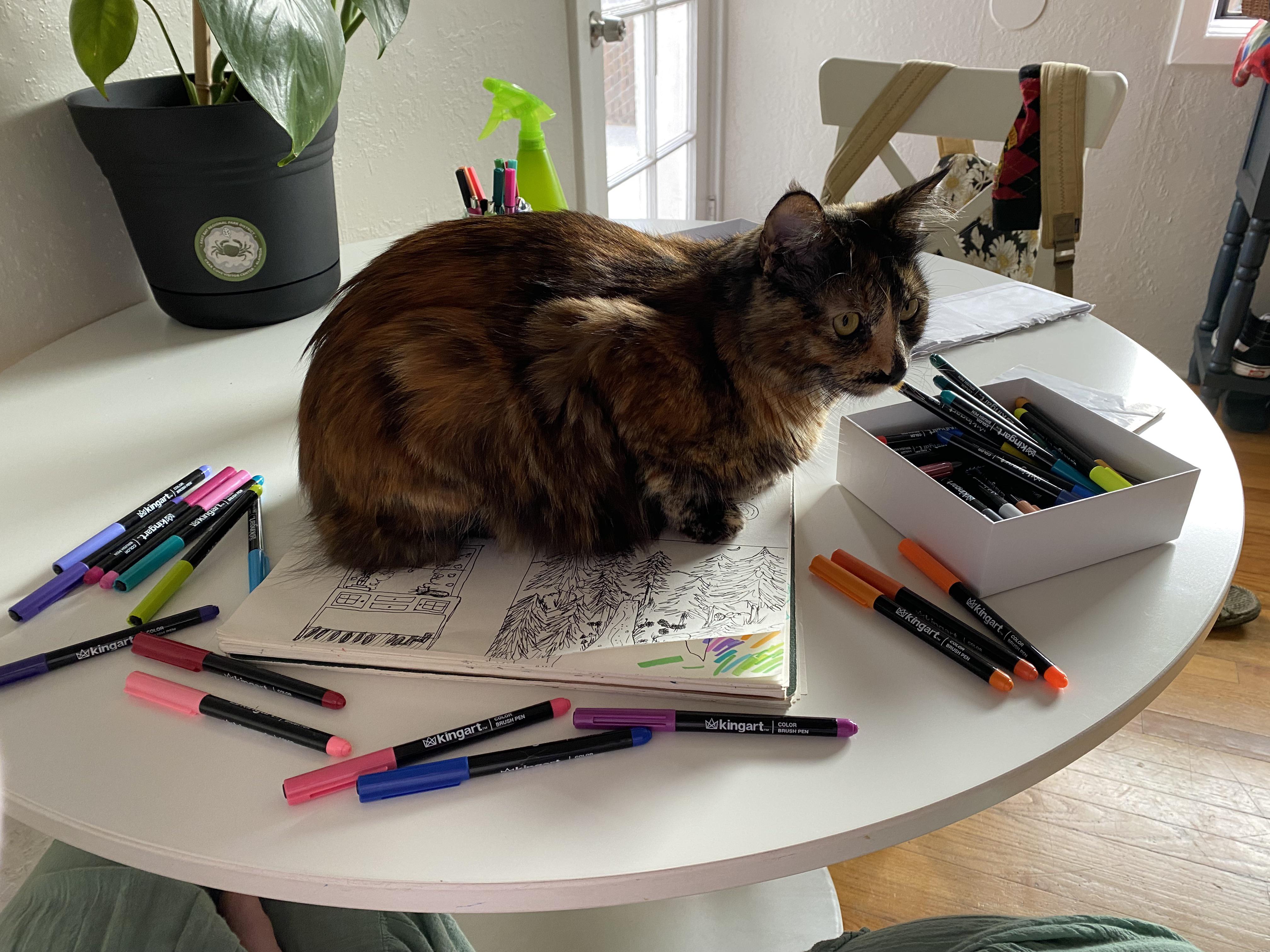 Literally every time I try to make art inside… | Scrolller