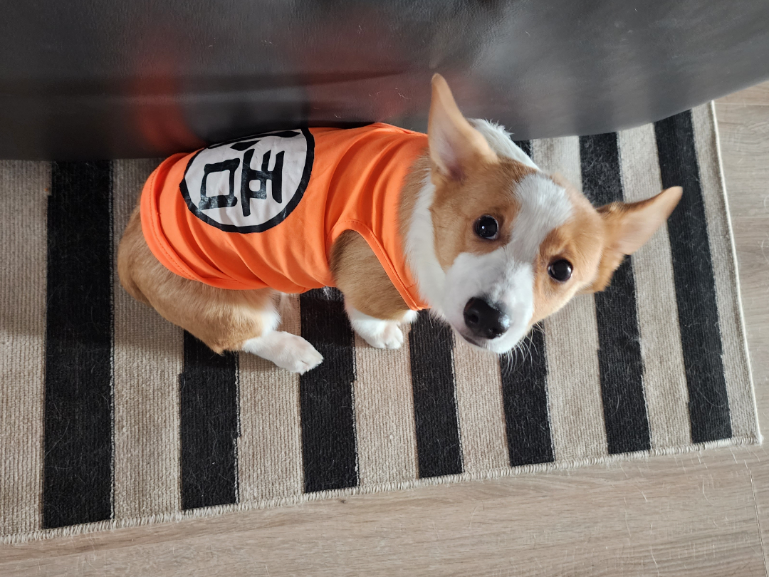 Lend me your energy! | Scrolller