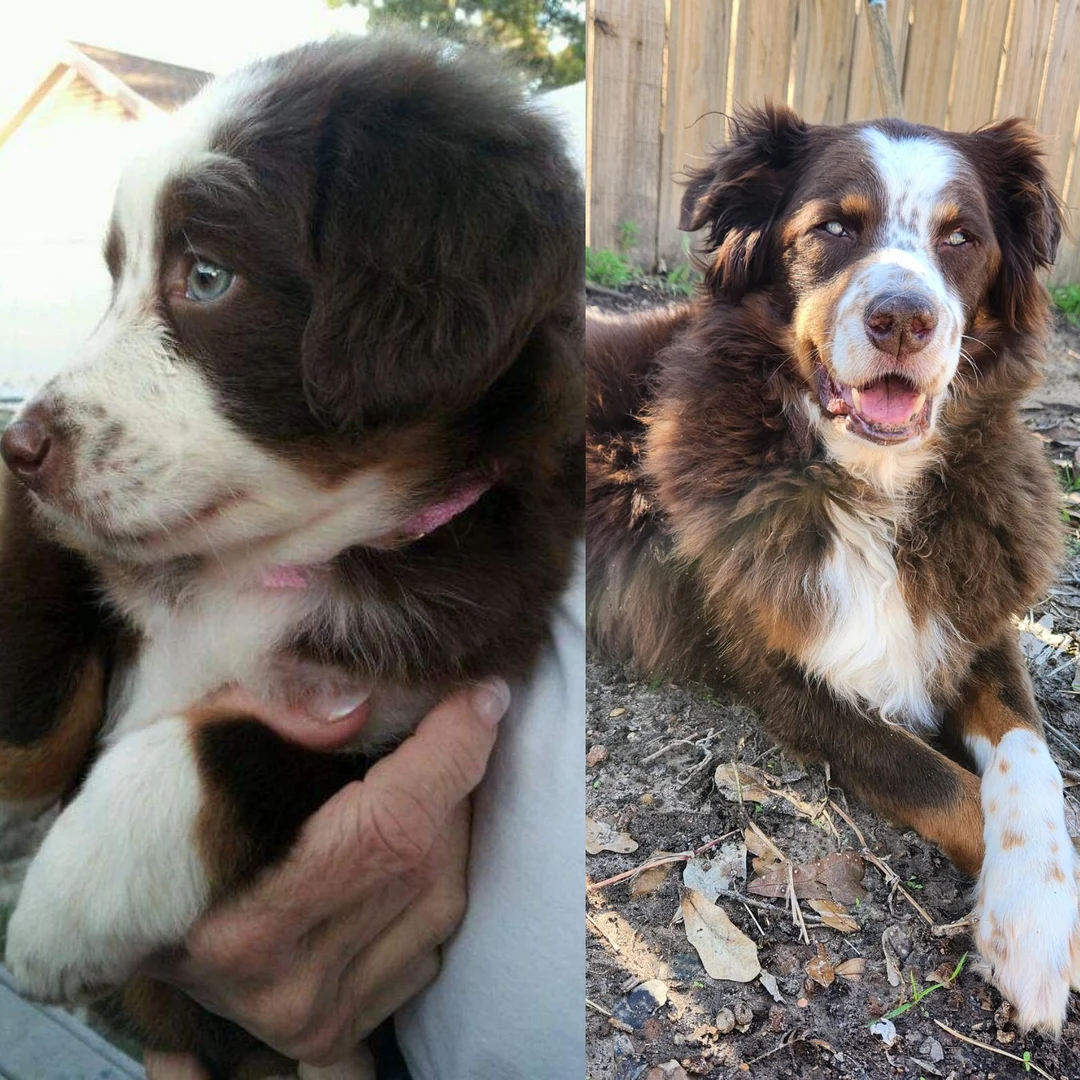 12 years ago today was our Gotcha Day | Scrolller