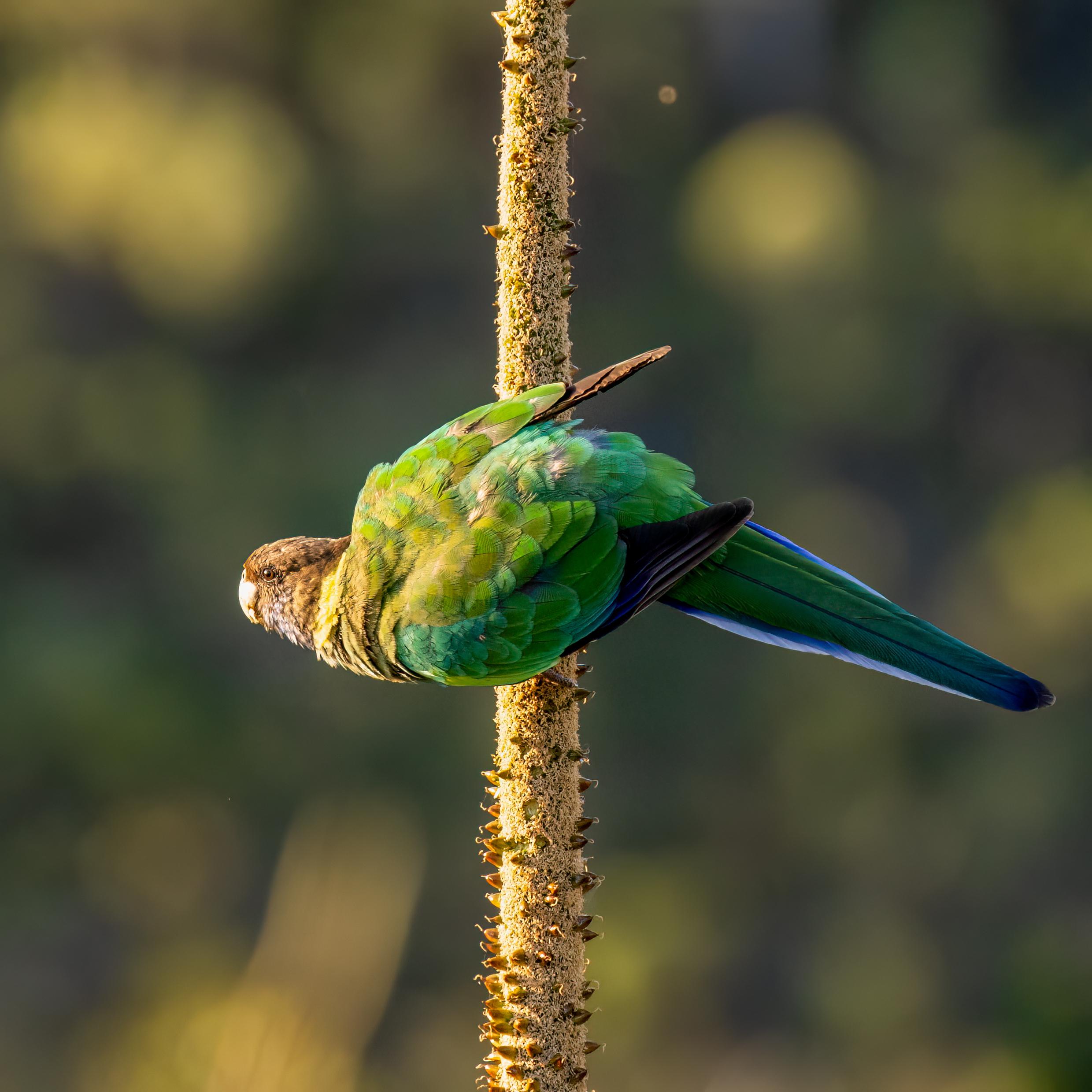 Twenty-Eight Working the Pole | Scrolller