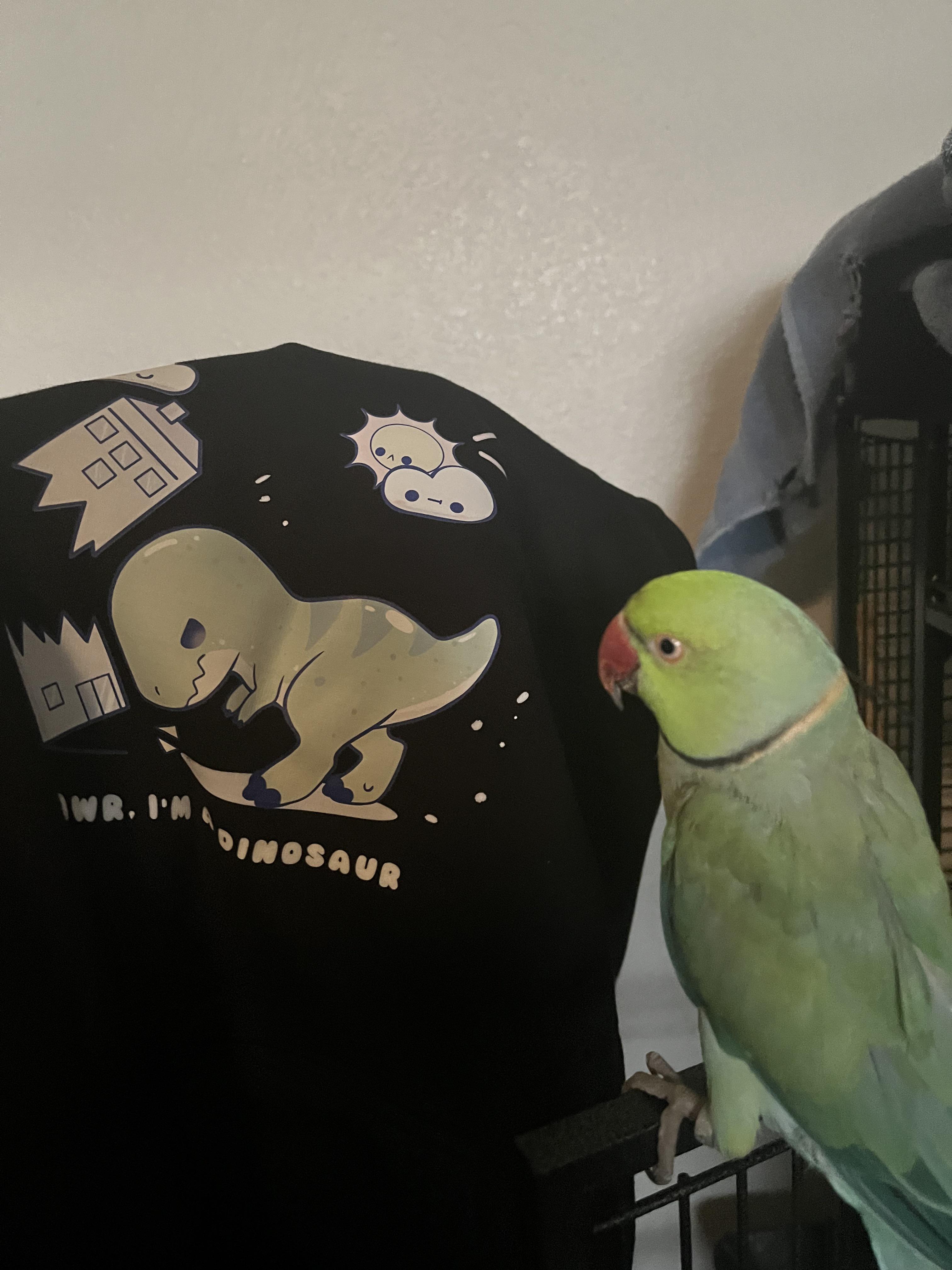 I’m the real dino 😡 | Scrolller