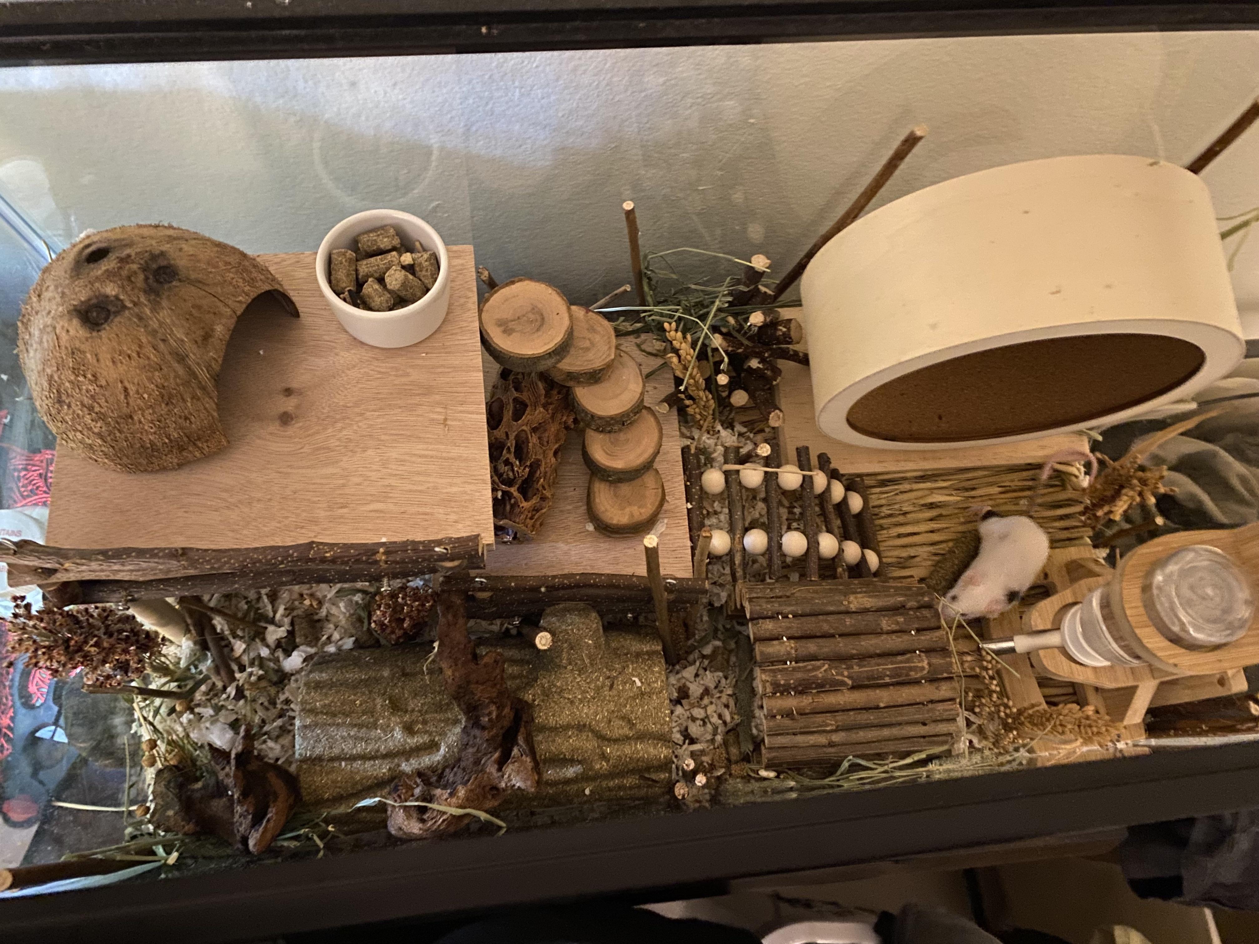 Current setups | Scrolller