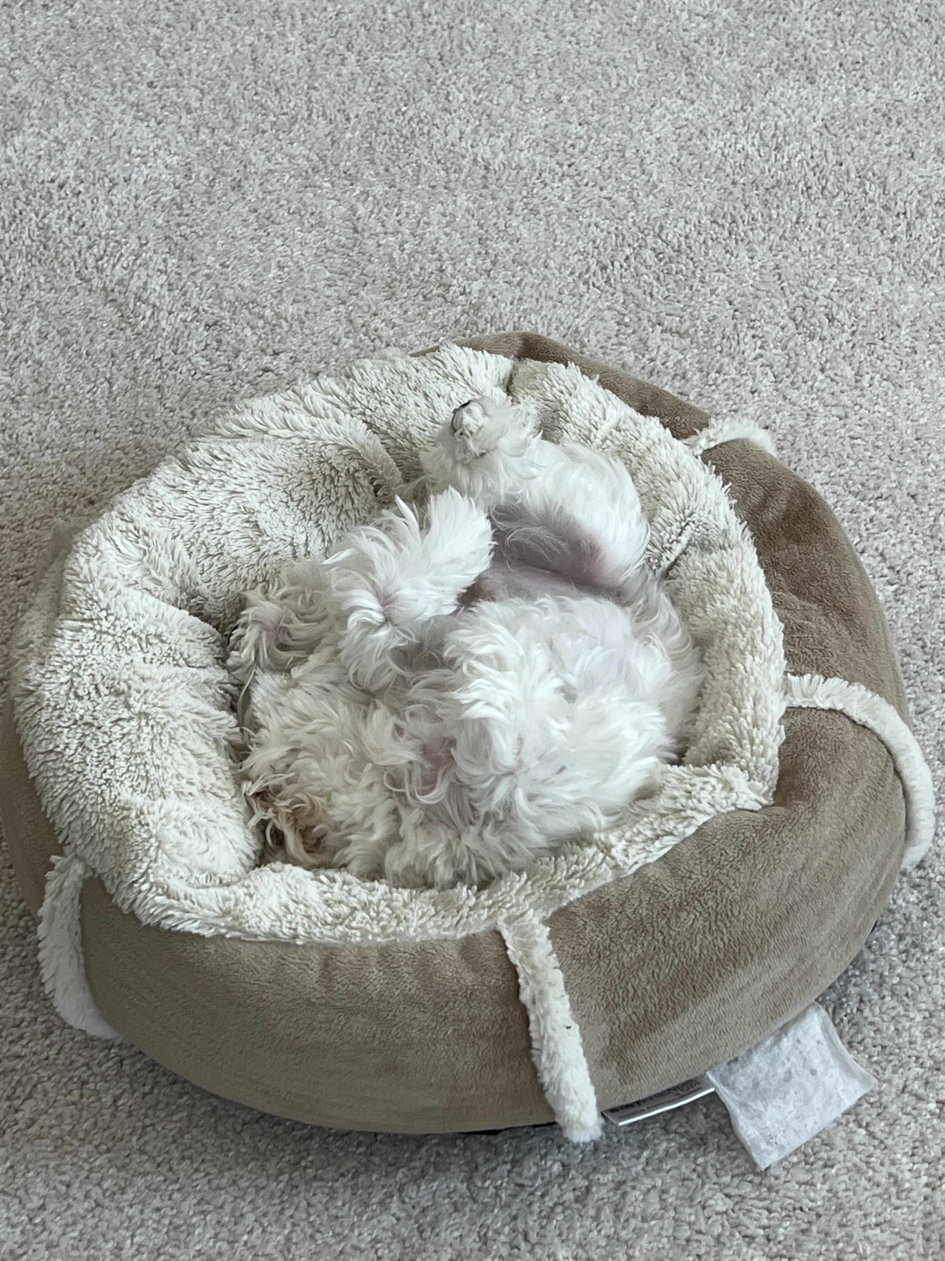 How Is This Comfortable Scrolller