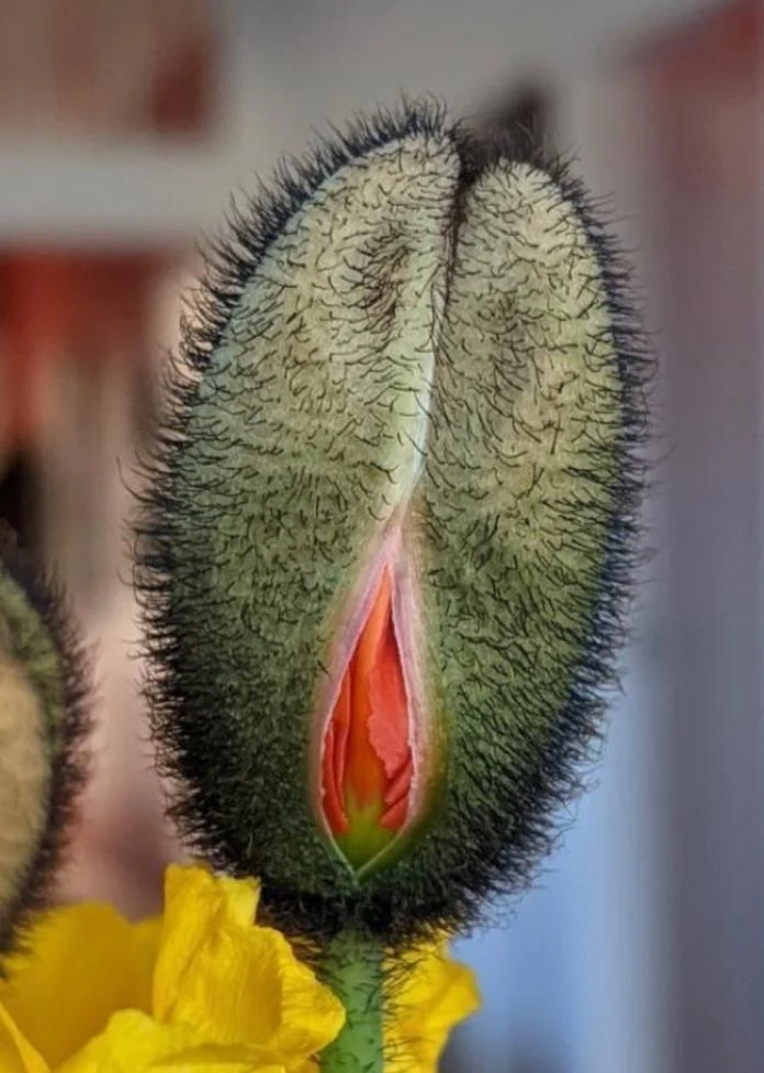 Proceed with Caution | Scrolller