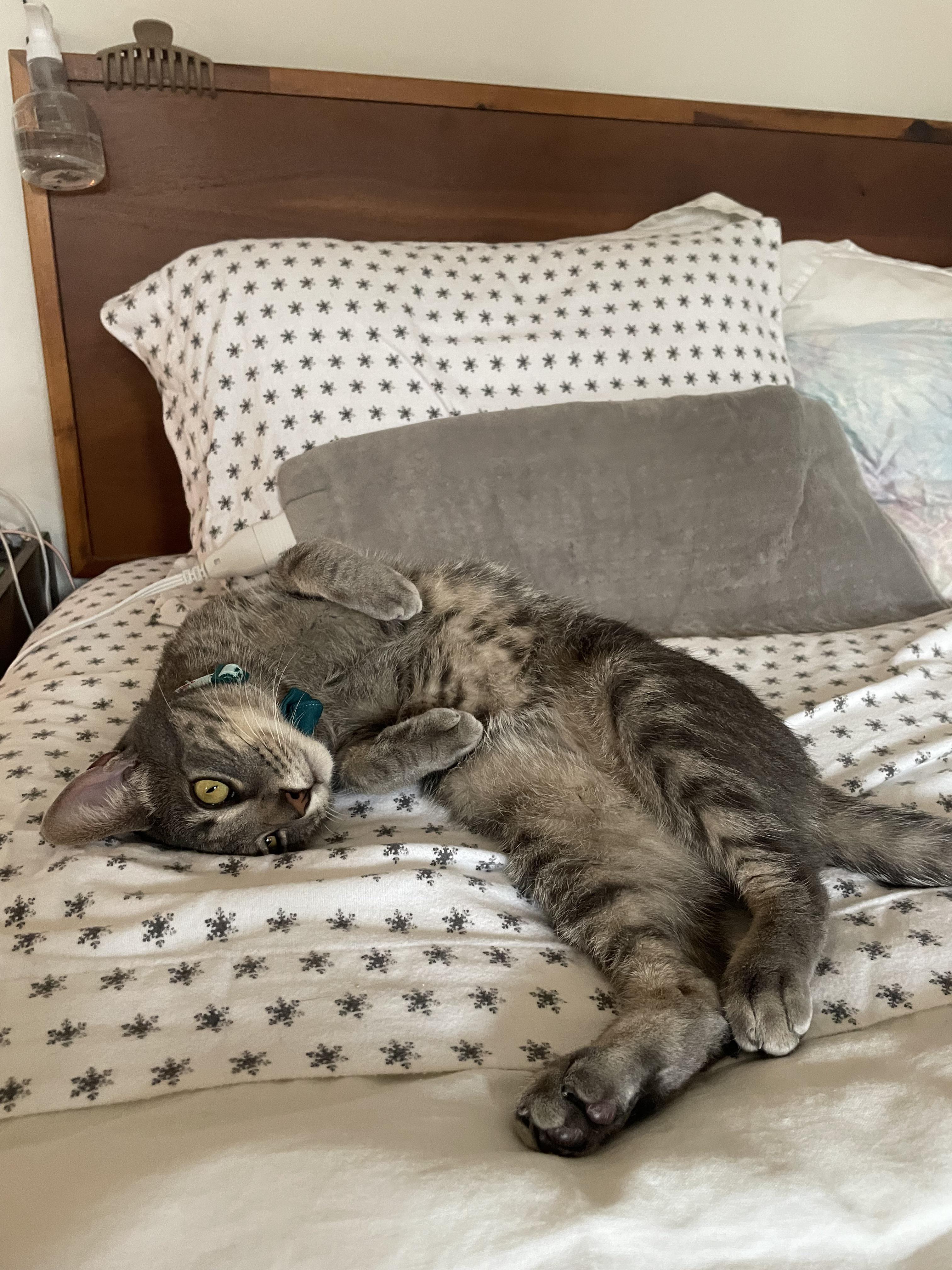 relaxing peacefully… until you remember… | Scrolller