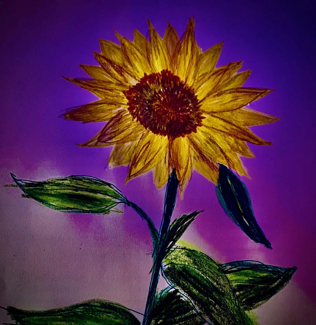 Sunflower, KITTYcat9030, multimedia, 2023 | Scrolller