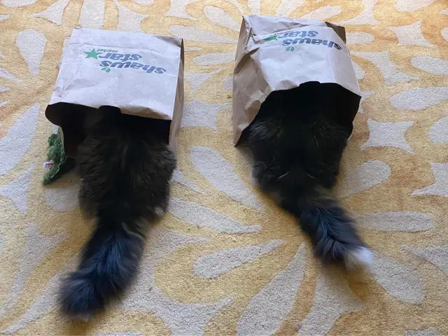 Double trap | Scrolller