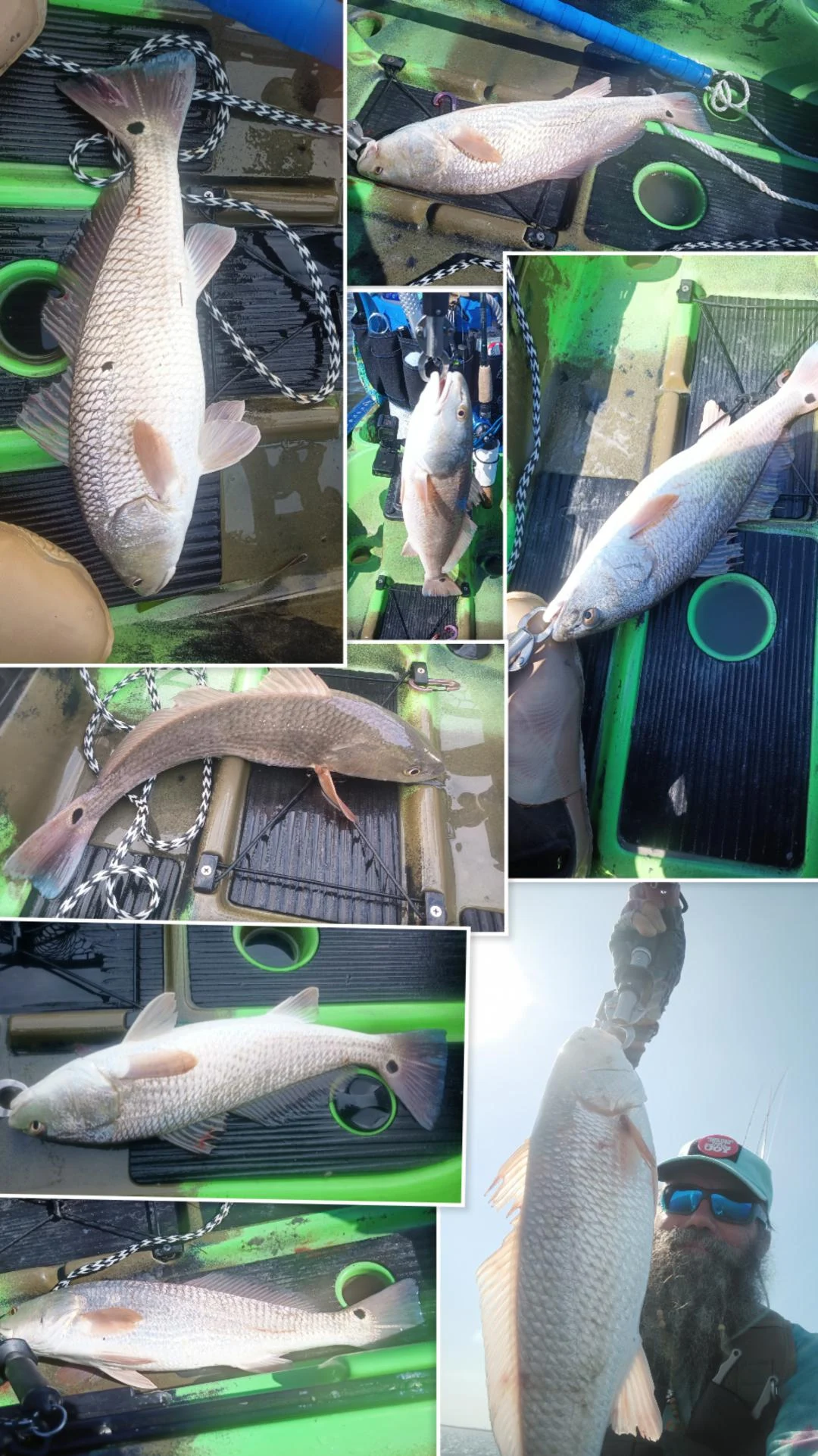 The Redfish were biting today! | Scrolller