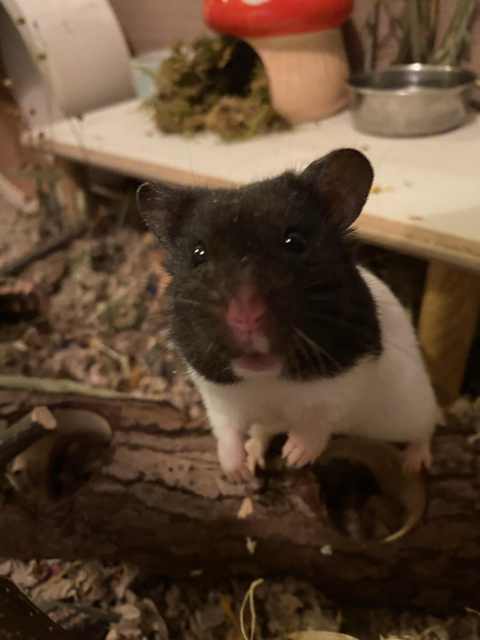 Suddenly nervous | Scrolller