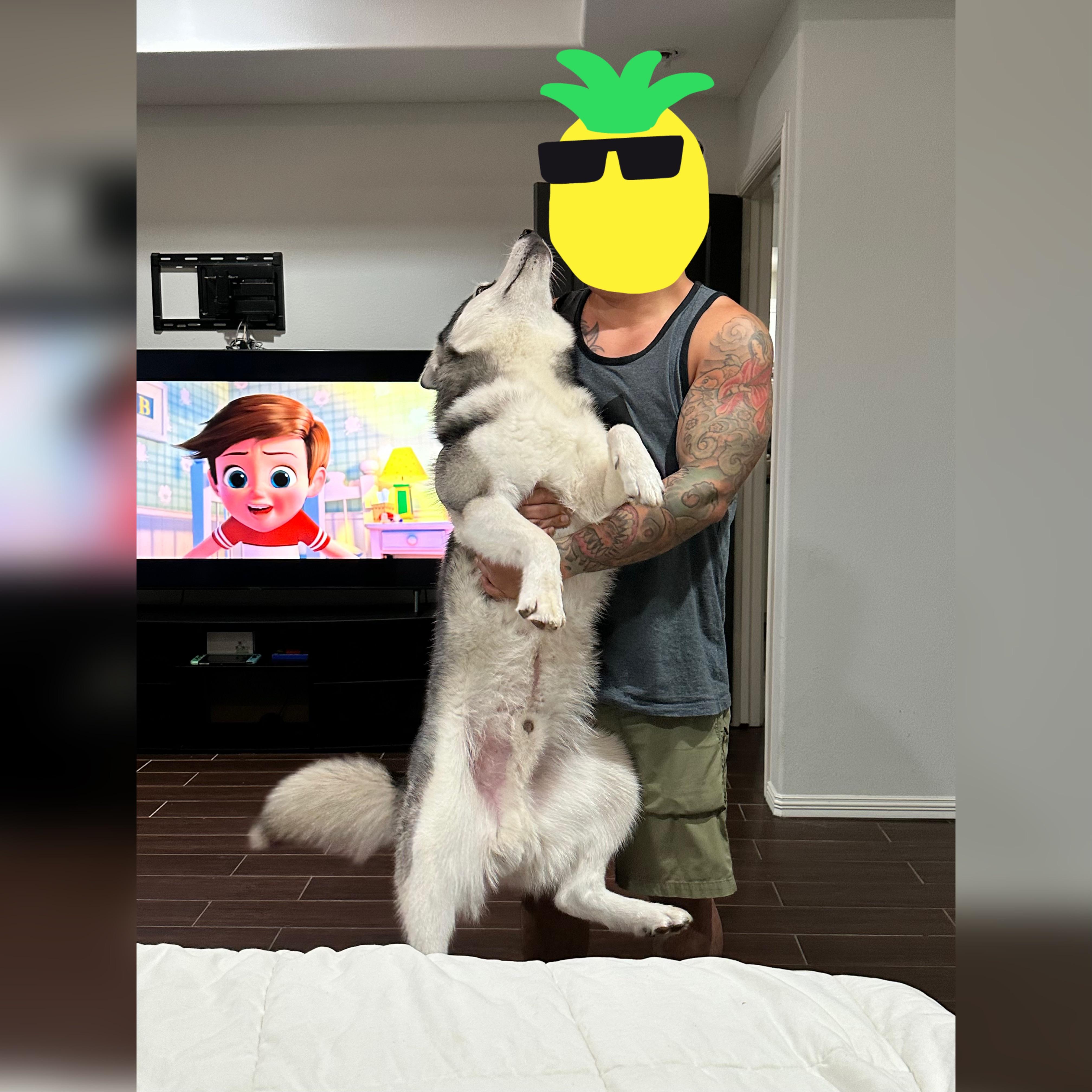 Ronin my big baby | Scrolller