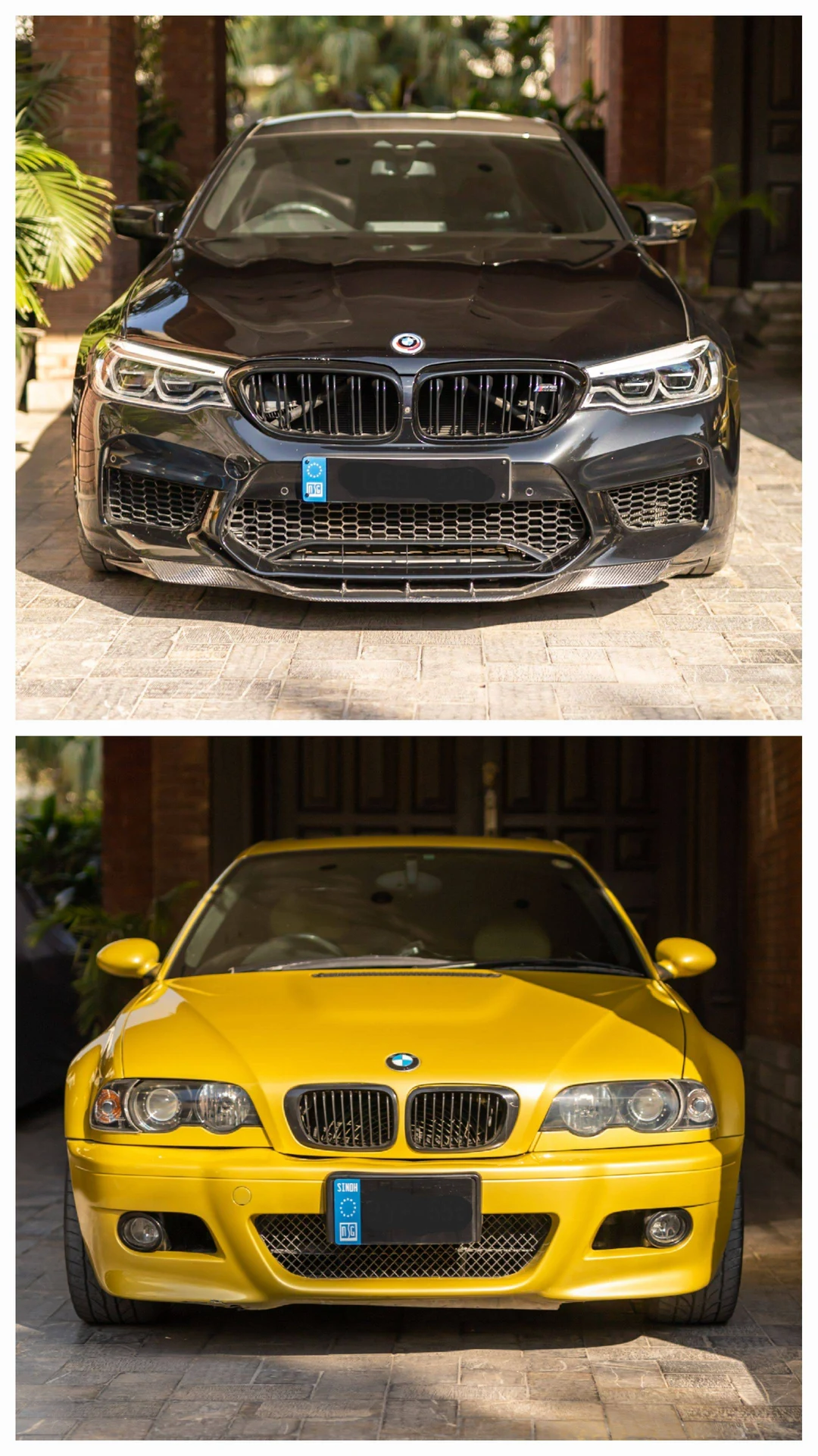 My 2 prized possessions | Scrolller