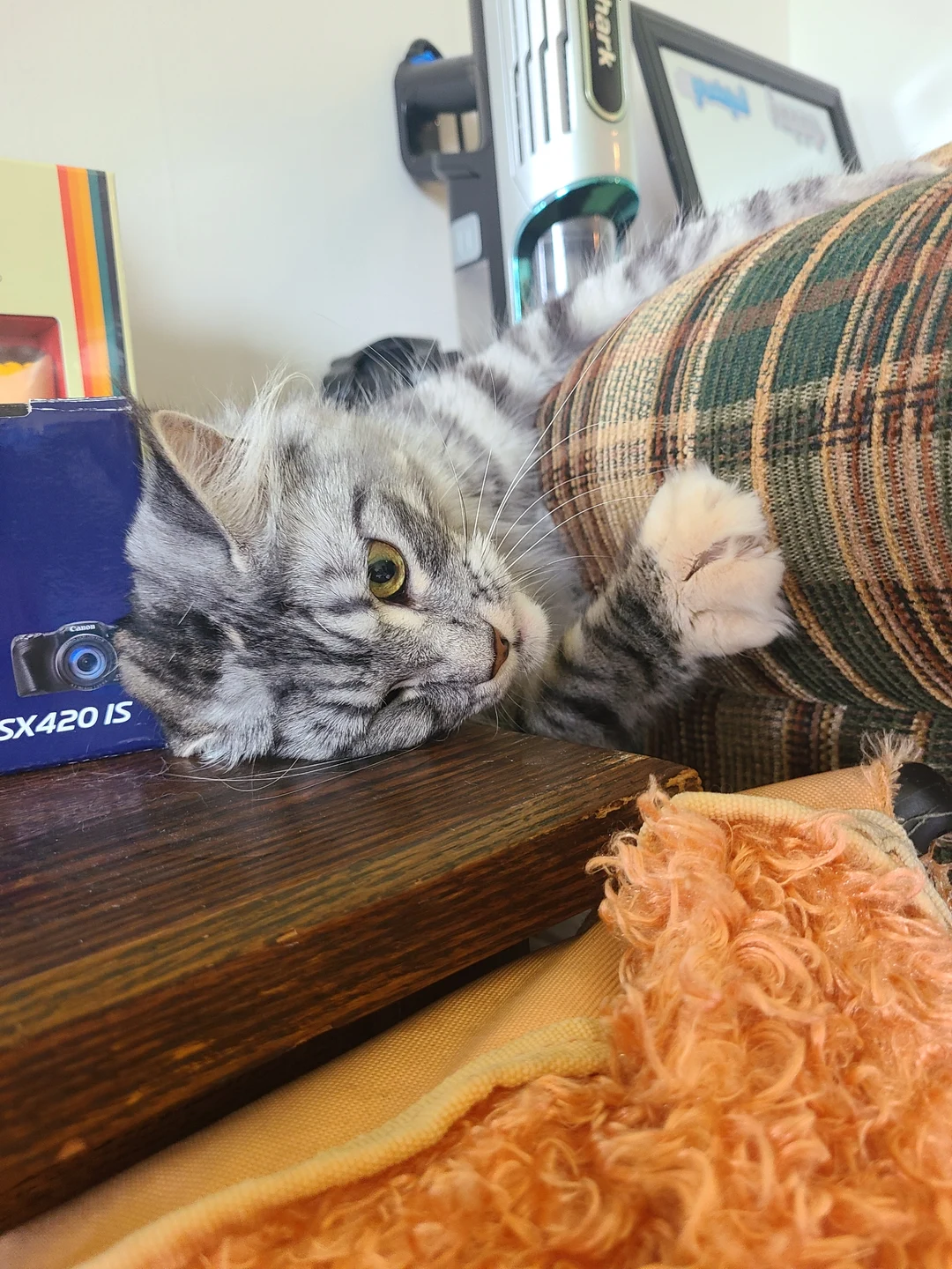 JoshAllen with her "HERE'S JONNY!" pose | Scrolller