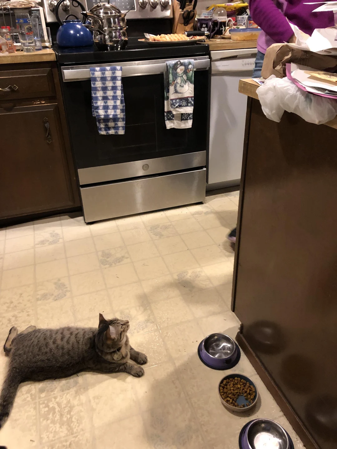 The trap in the kitchen is working(salmon on the counter) | Scrolller