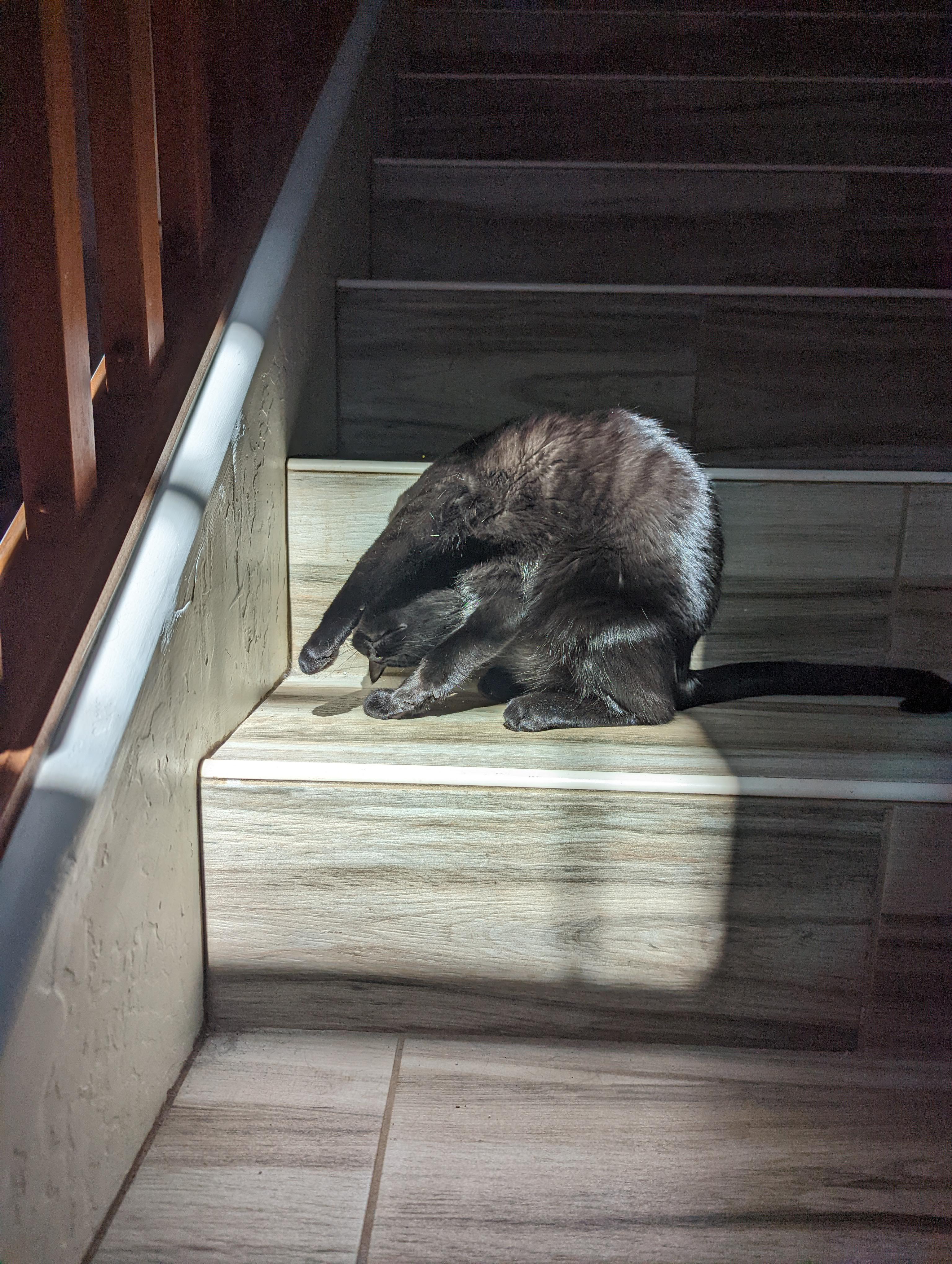 Fourth Position | Scrolller