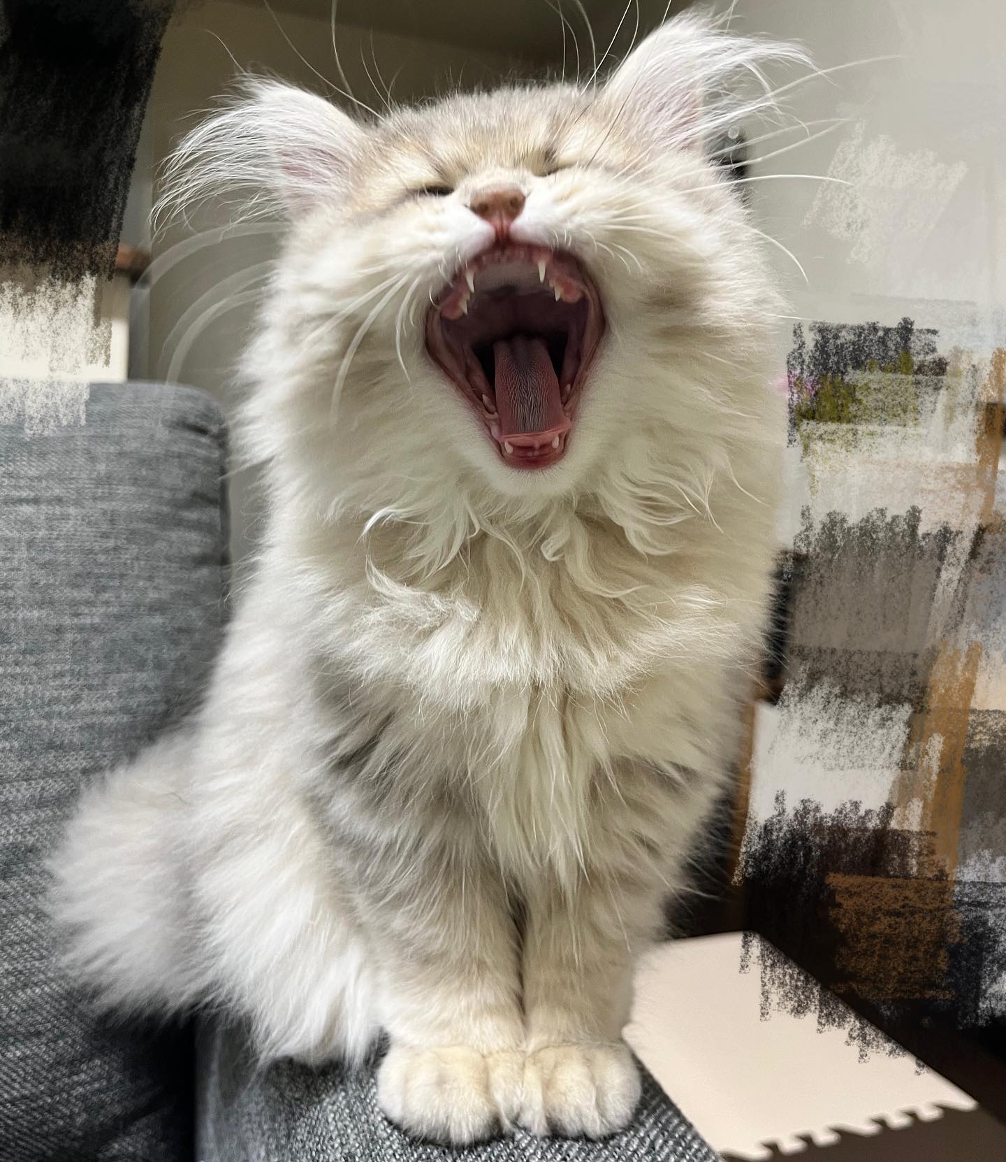 Everyone, act scared. | Scrolller