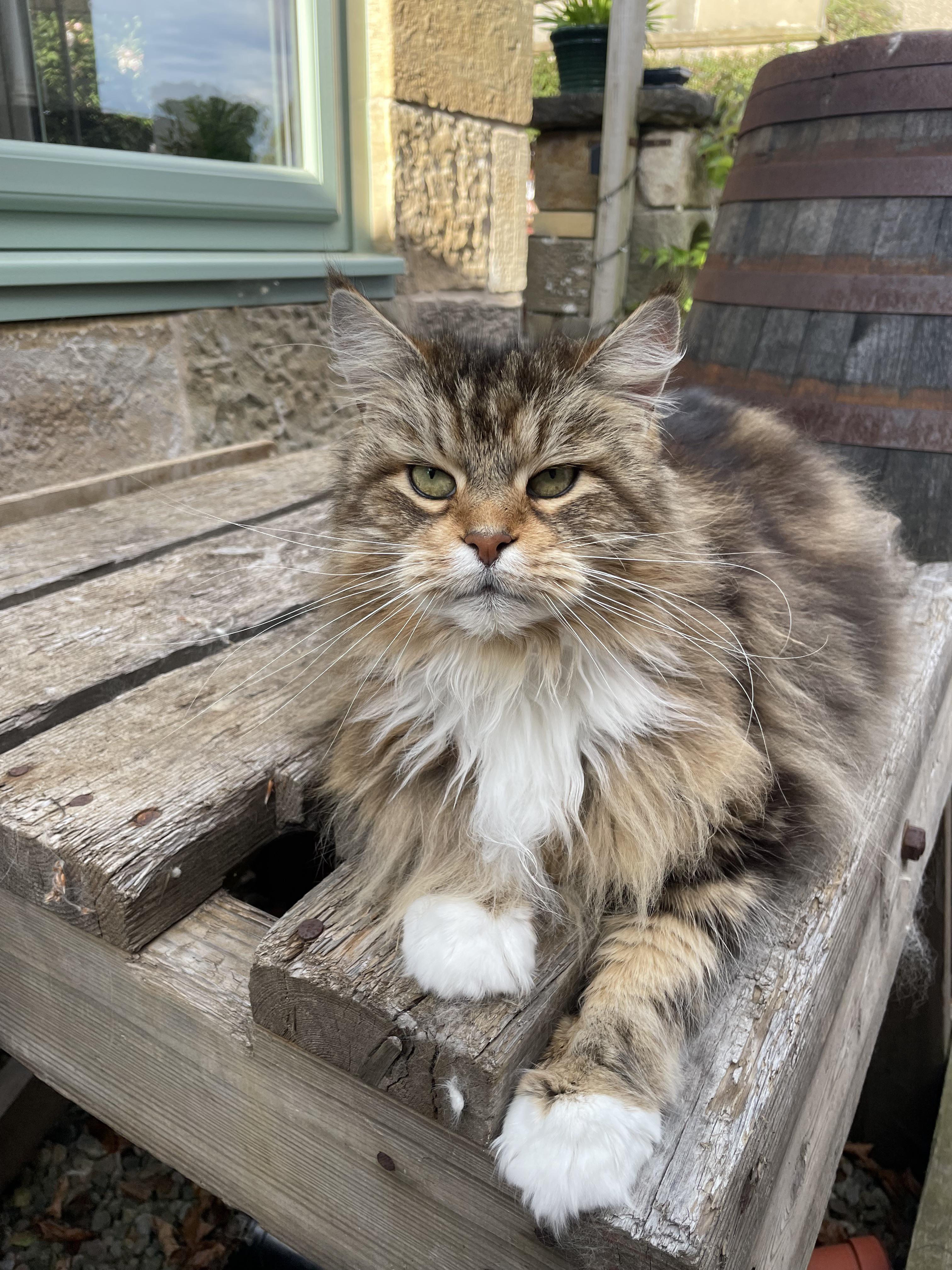 Our wee beauty Fern 🥰 | Scrolller