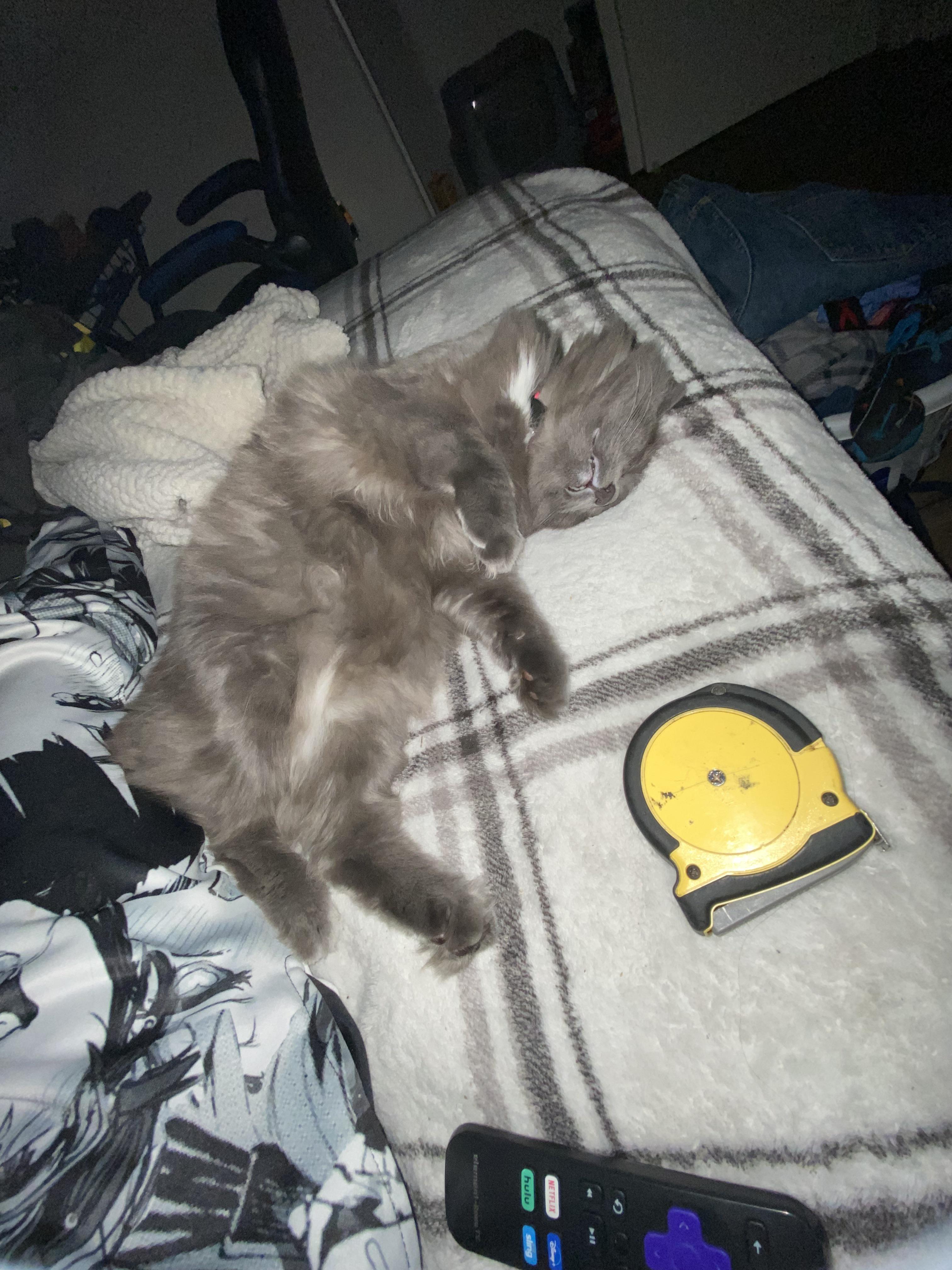 She's so weird | Scrolller